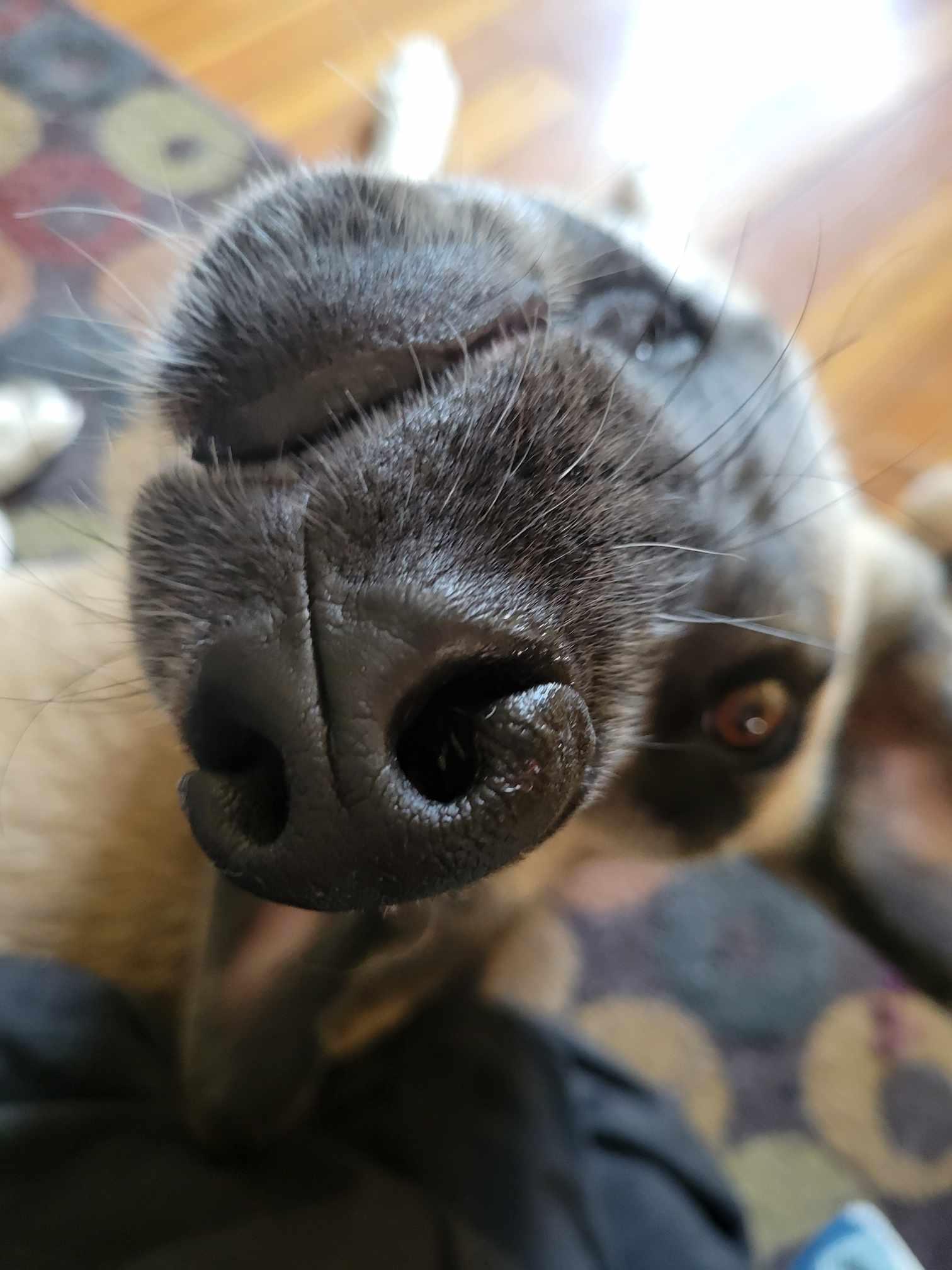 "You got any snacks?" | Scrolller