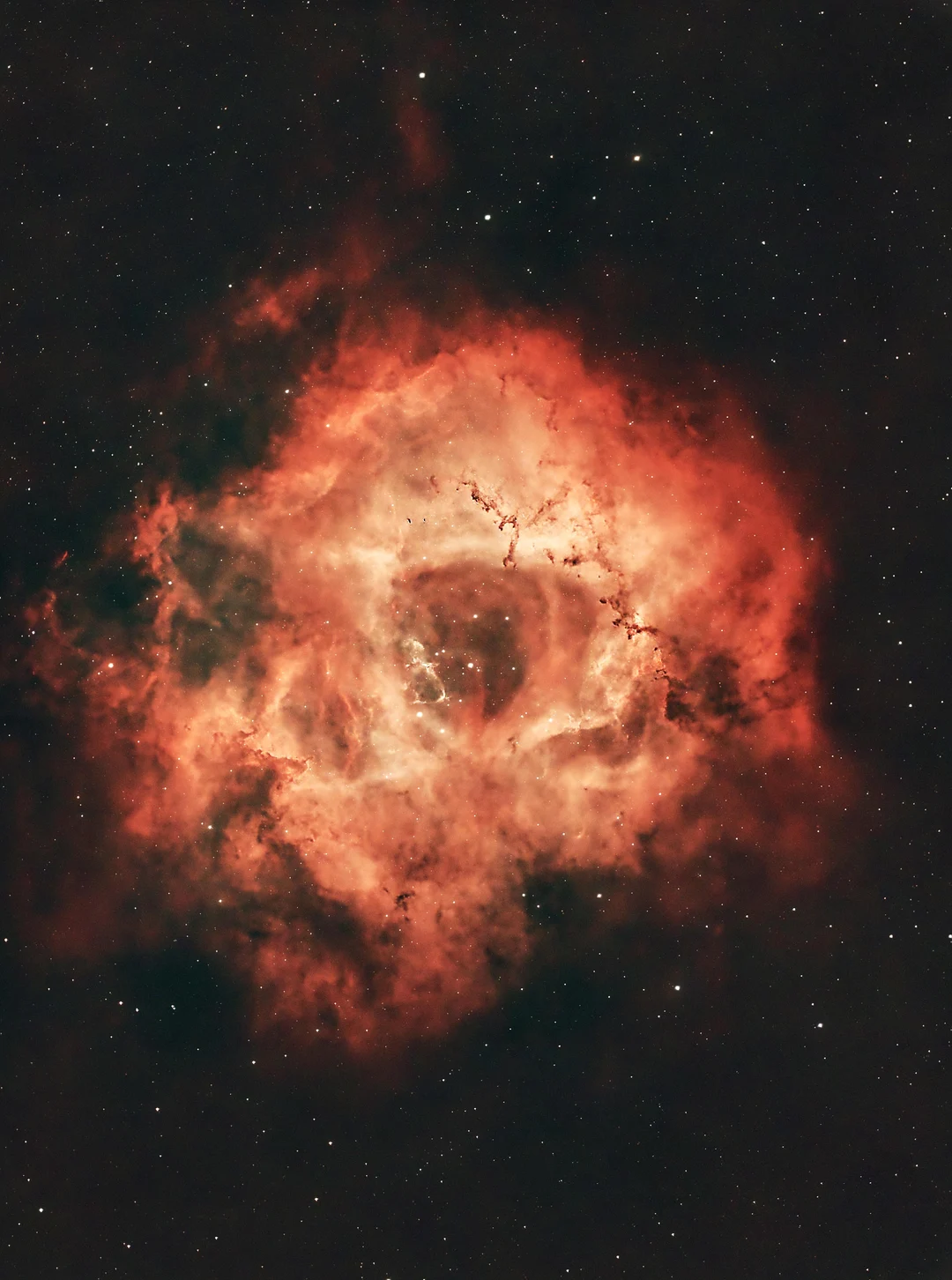 Rosette Nebula or Skull Nebula [OC] | Scrolller