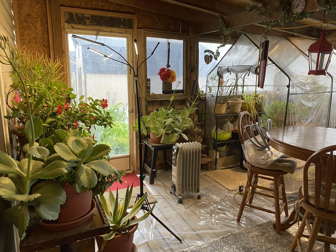 My mom’s greenhouse | Scrolller