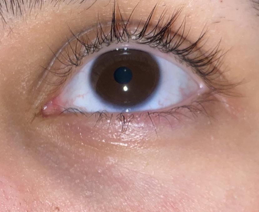 Dark Brown? | Scrolller