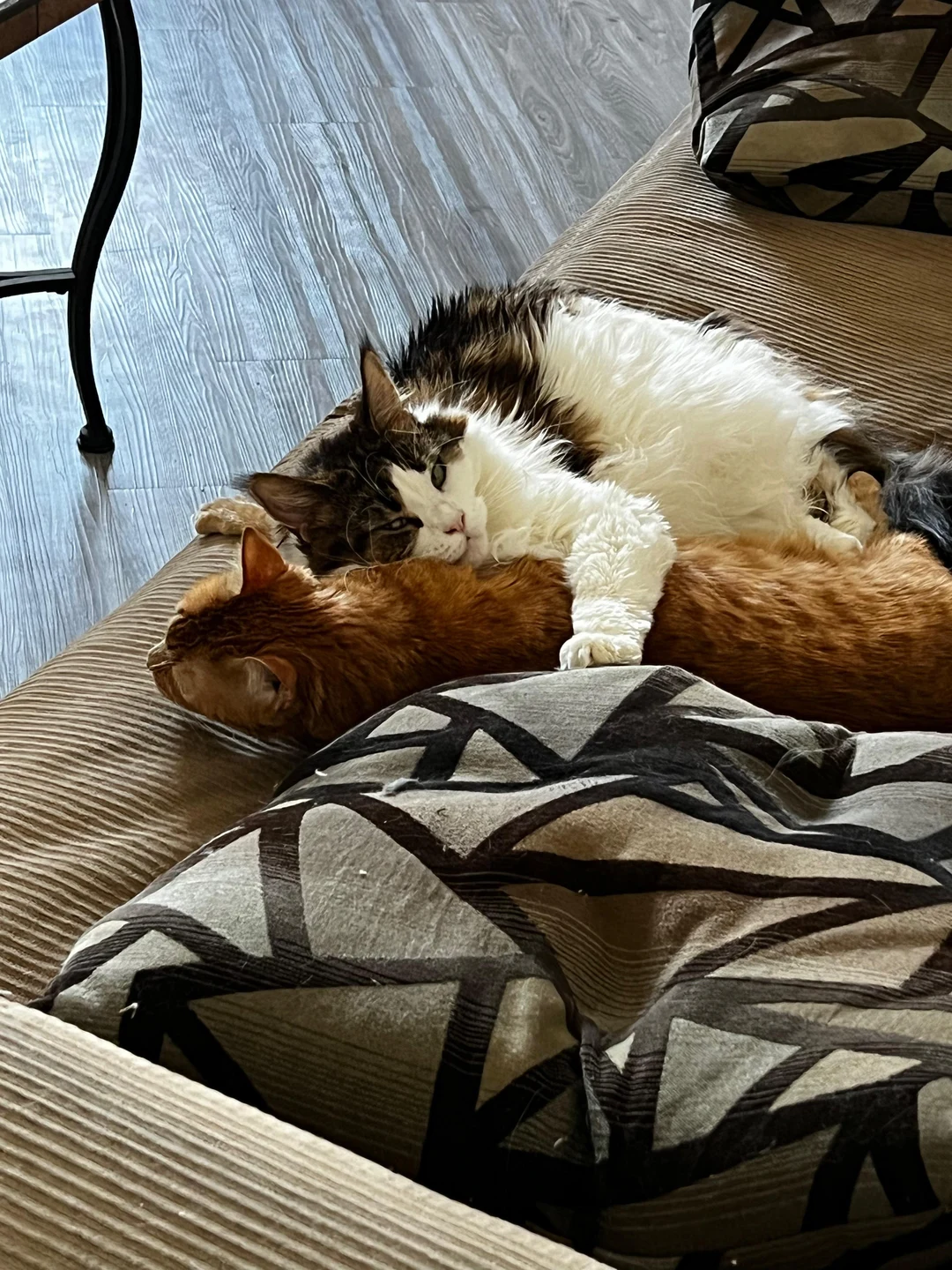 Giving The Hubs Hugs | Scrolller