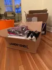 Now boxes come with cats! | Scrolller