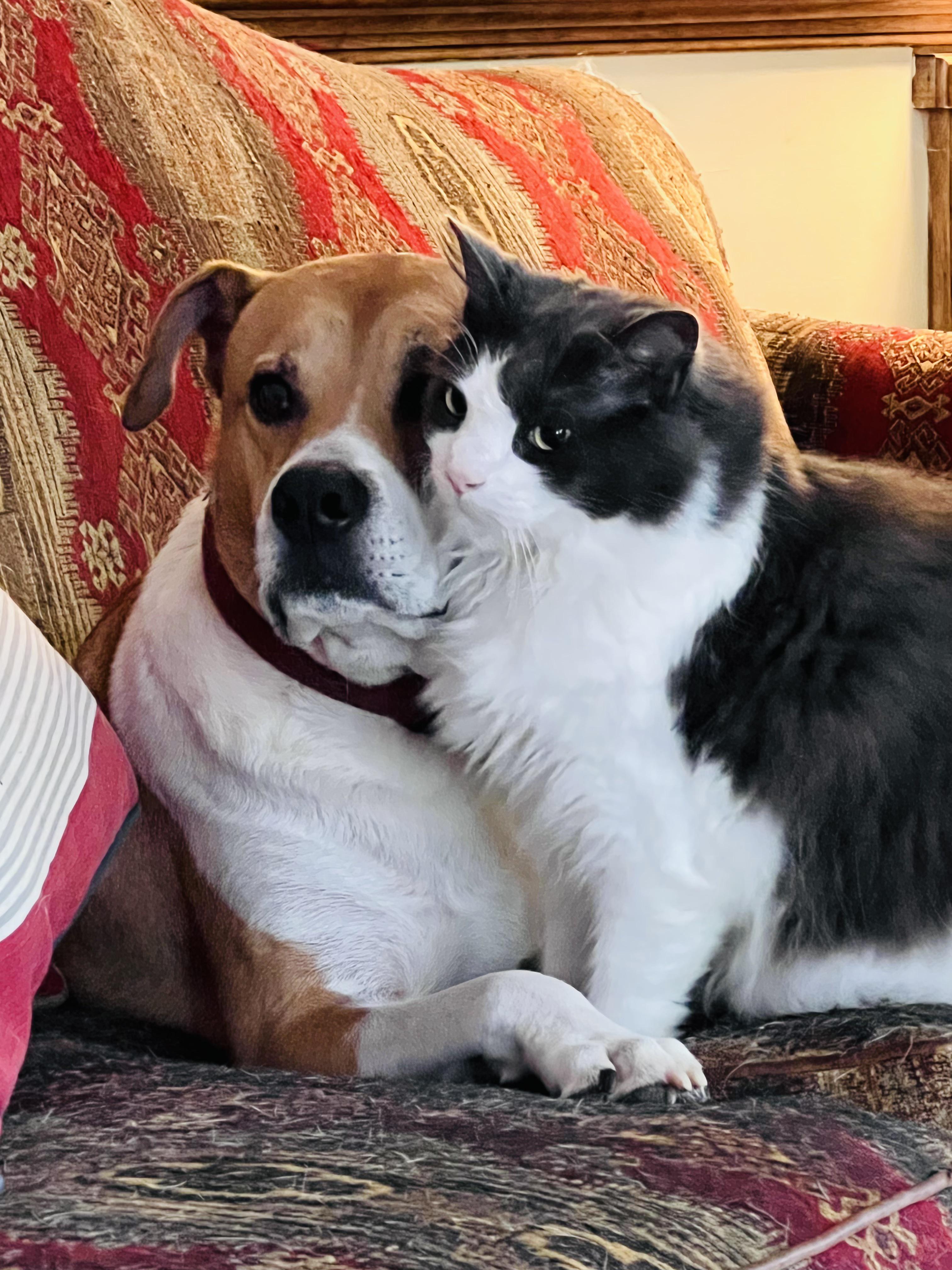 Buster and Bash (OC) | Scrolller