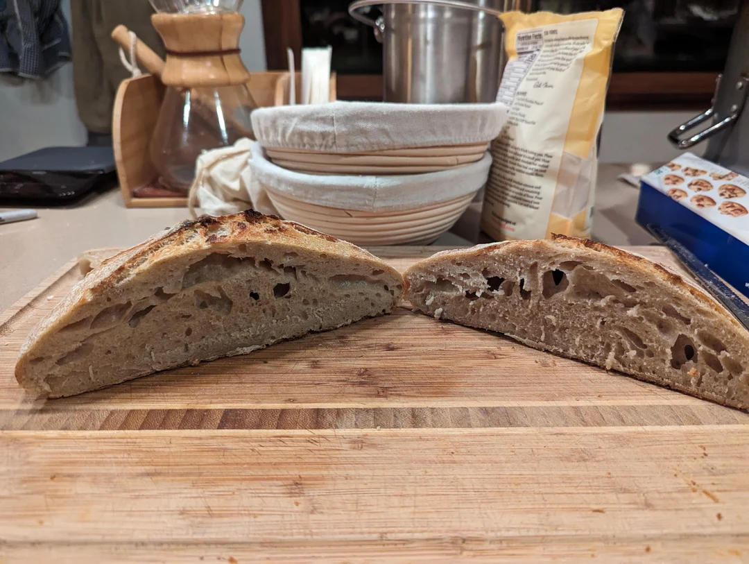 Please Diagnose My Sourdough Fail | Scrolller