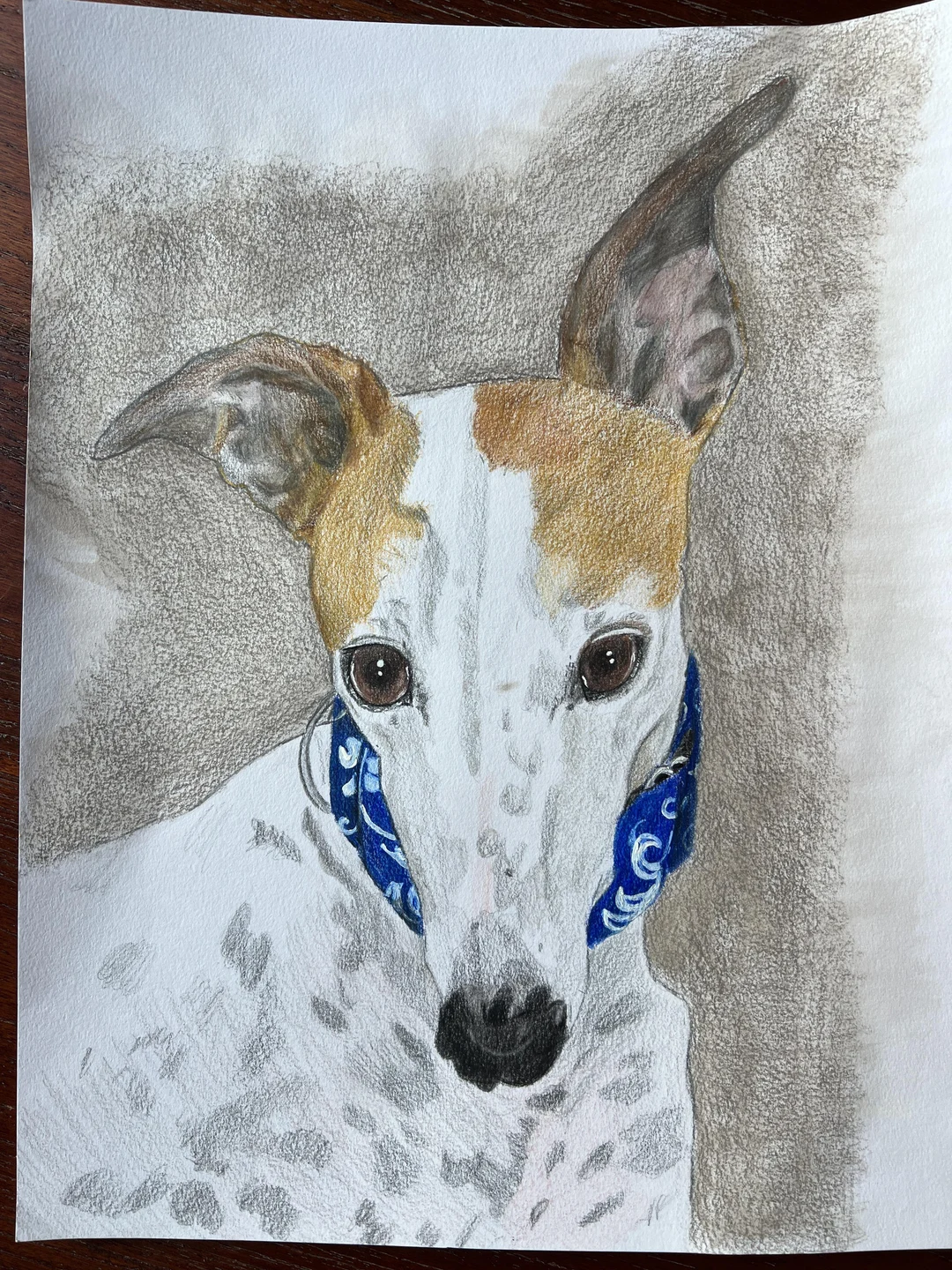 Greyhound Pet Portrait Commission | Scrolller