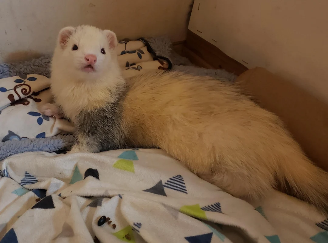 Head Empty | Scrolller