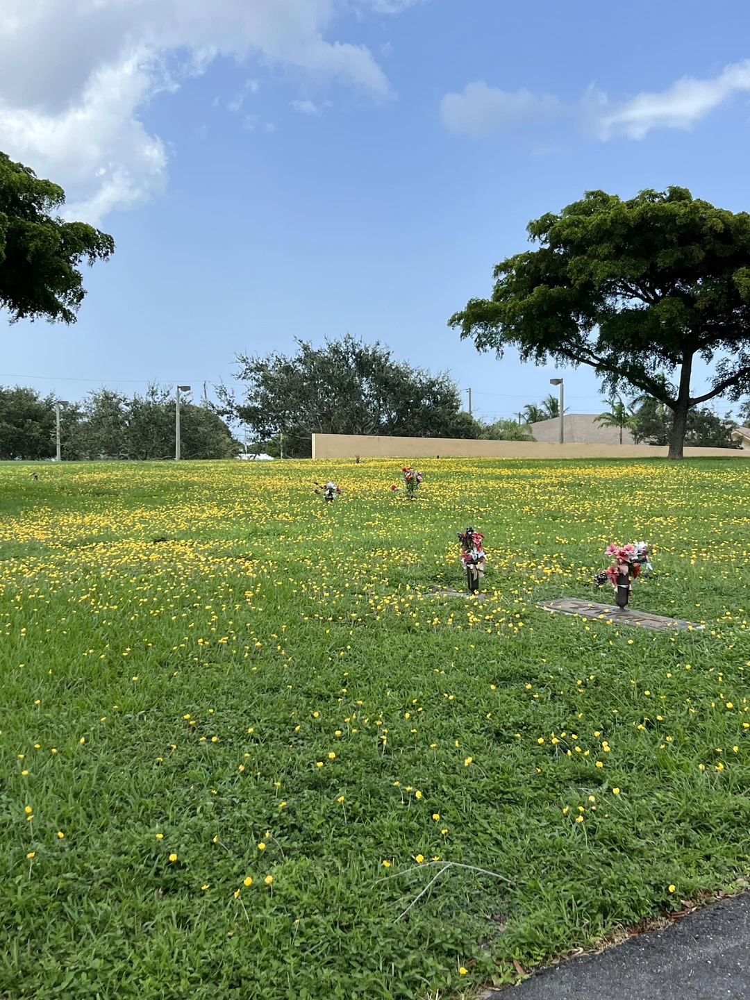 Hillcrest Memorial Park, West Palm Beach, FL | Scrolller