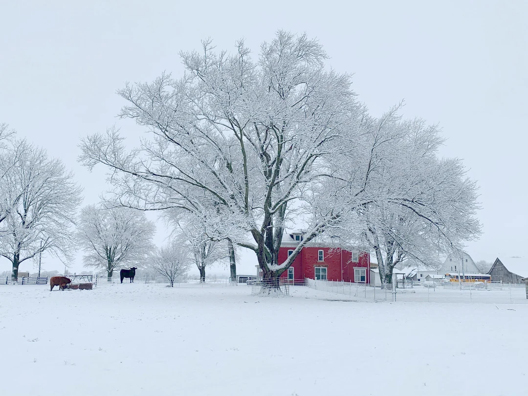 December 2021. | Scrolller