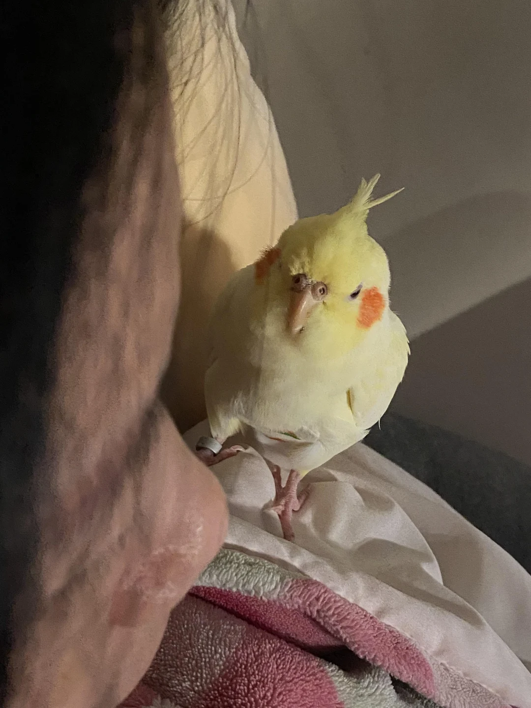 Why is he giving my mom the death stare 😂 | Scrolller