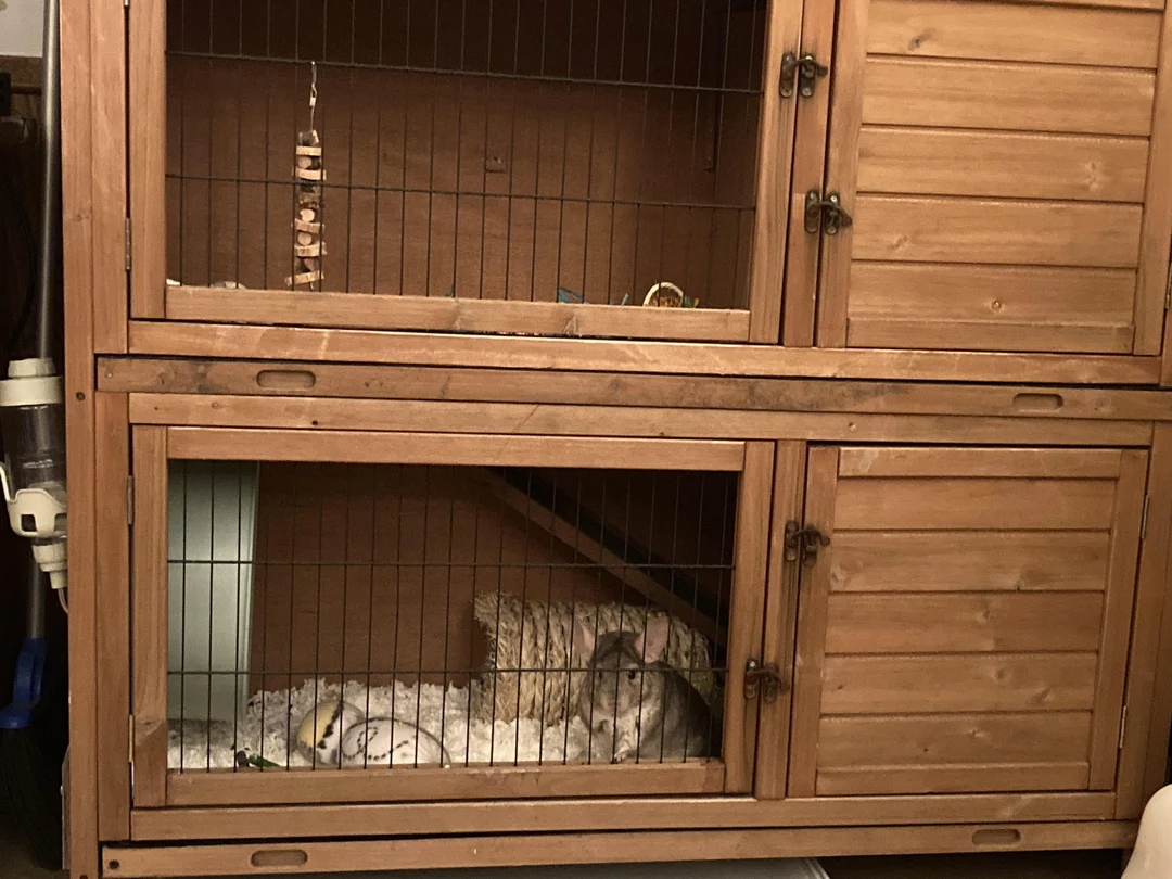 Dinner finally got a home upgrade | Scrolller