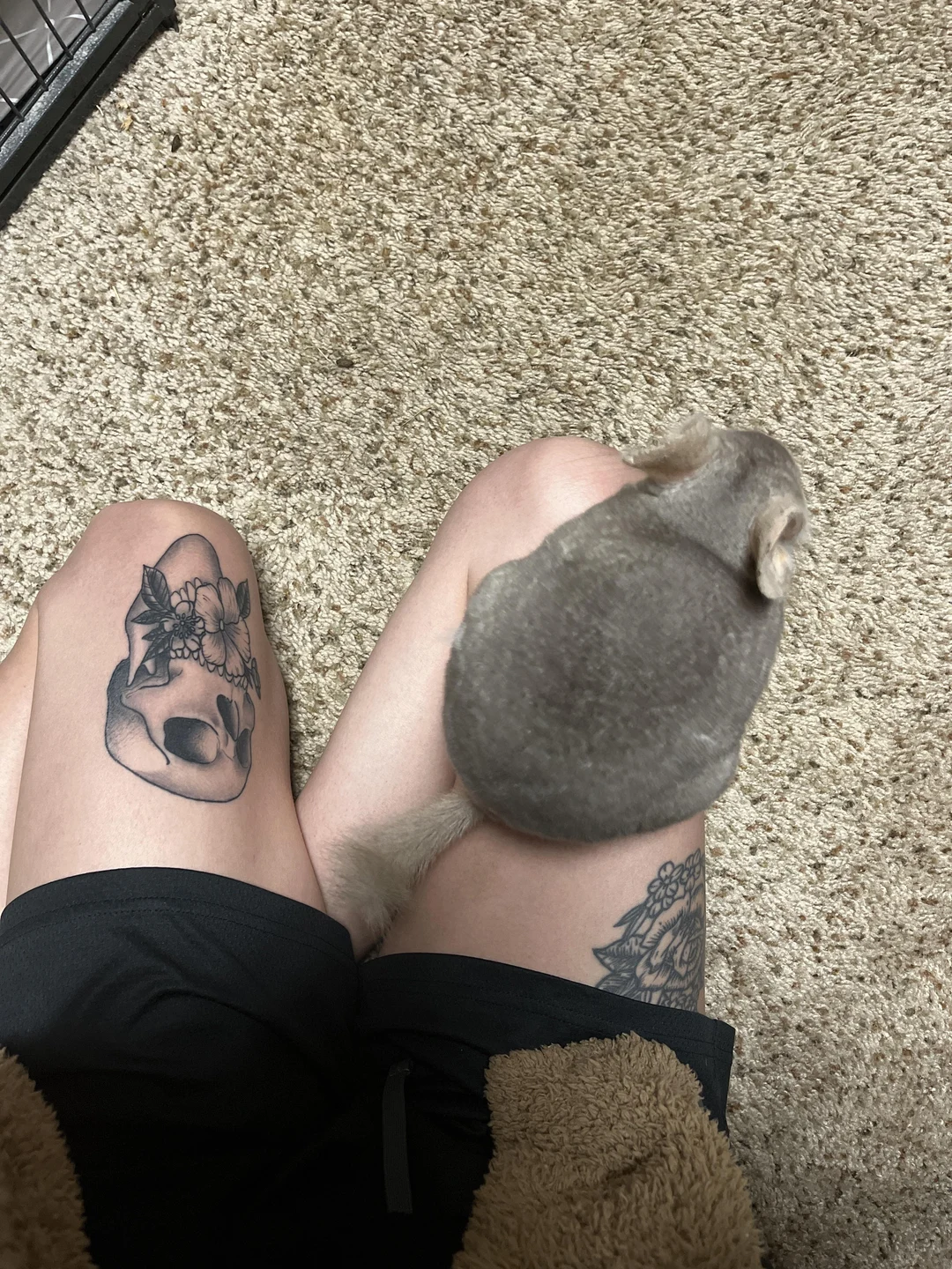 chin chillin’ 😎 | Scrolller