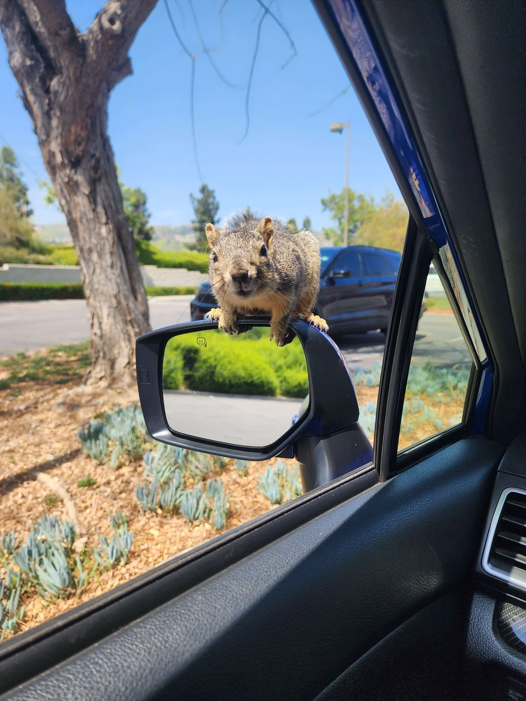 You got nuts in there? | Scrolller