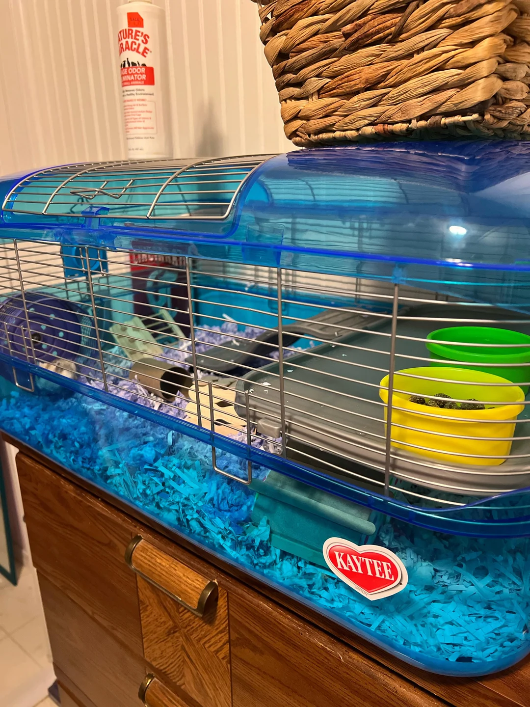 New cage! | Scrolller