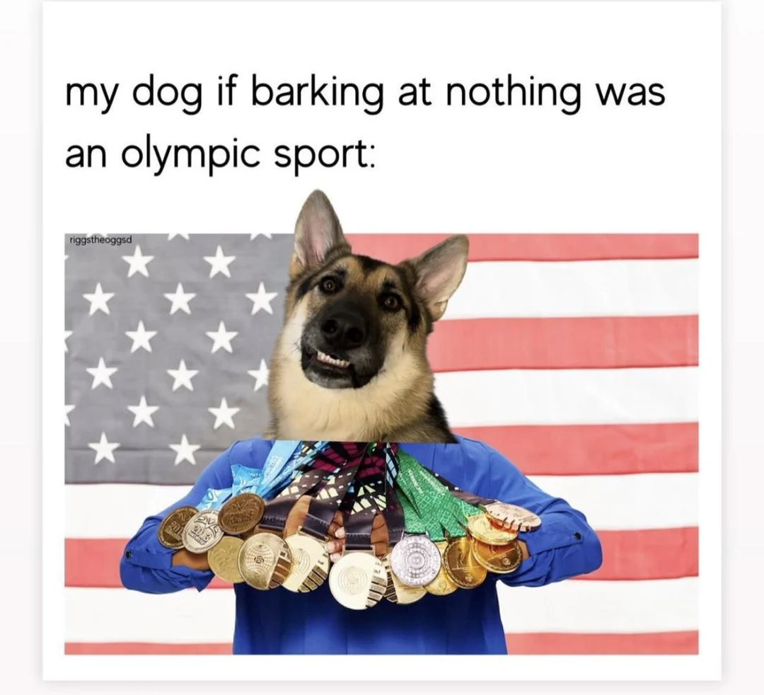 Gold medals across the board | Scrolller