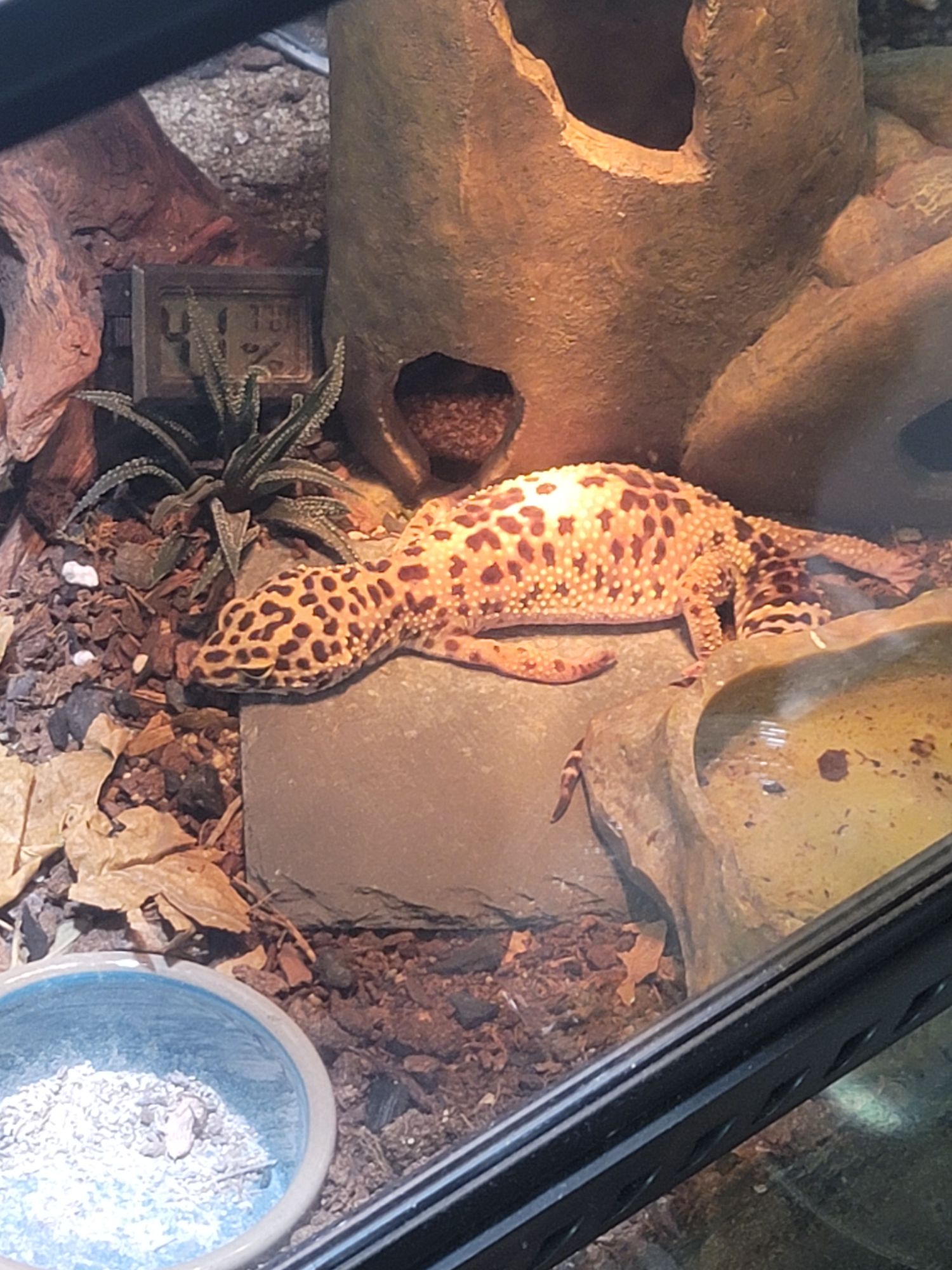 Prime sploot right there | Scrolller