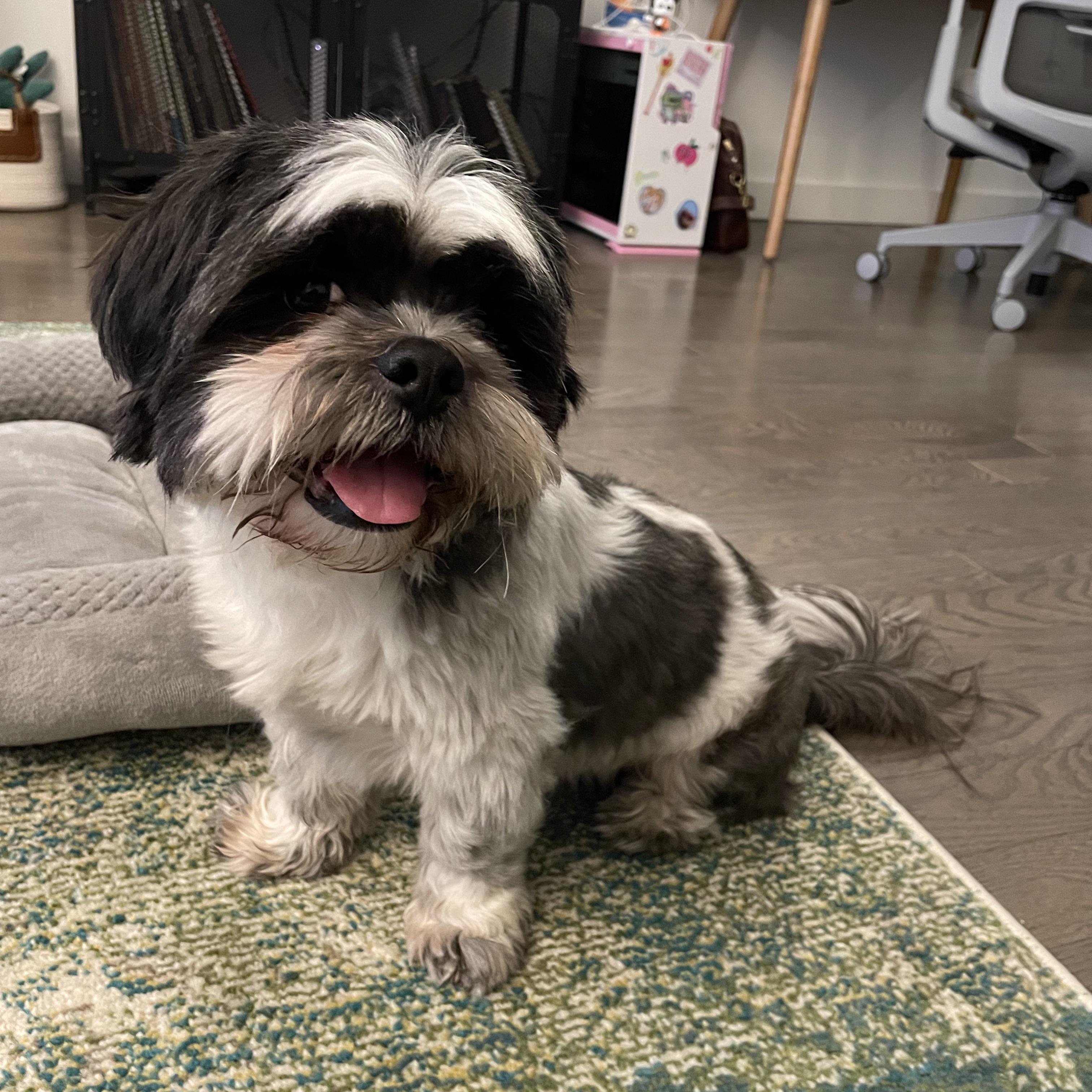 Cheese!!! | Scrolller