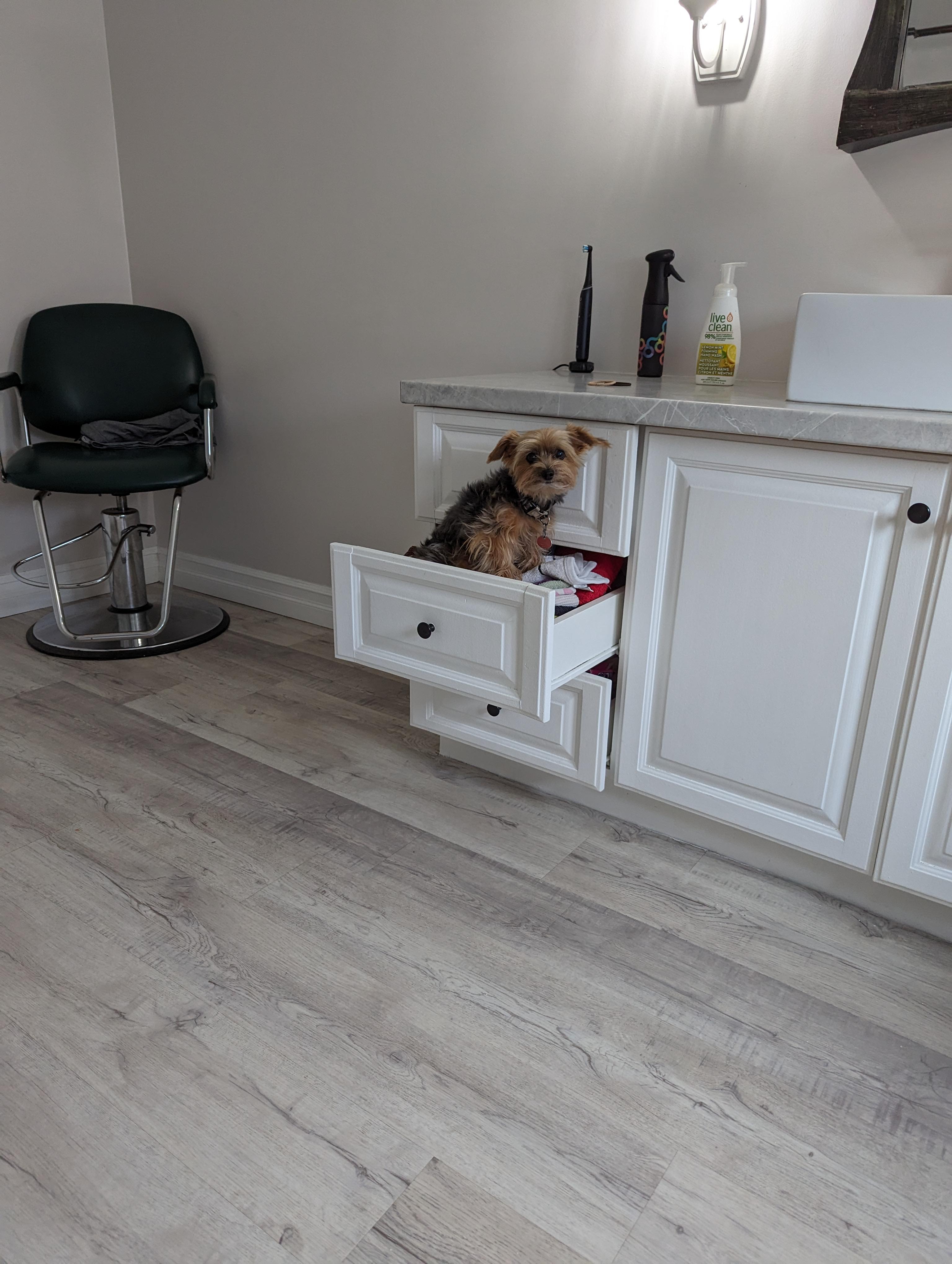 Nap progression | Scrolller