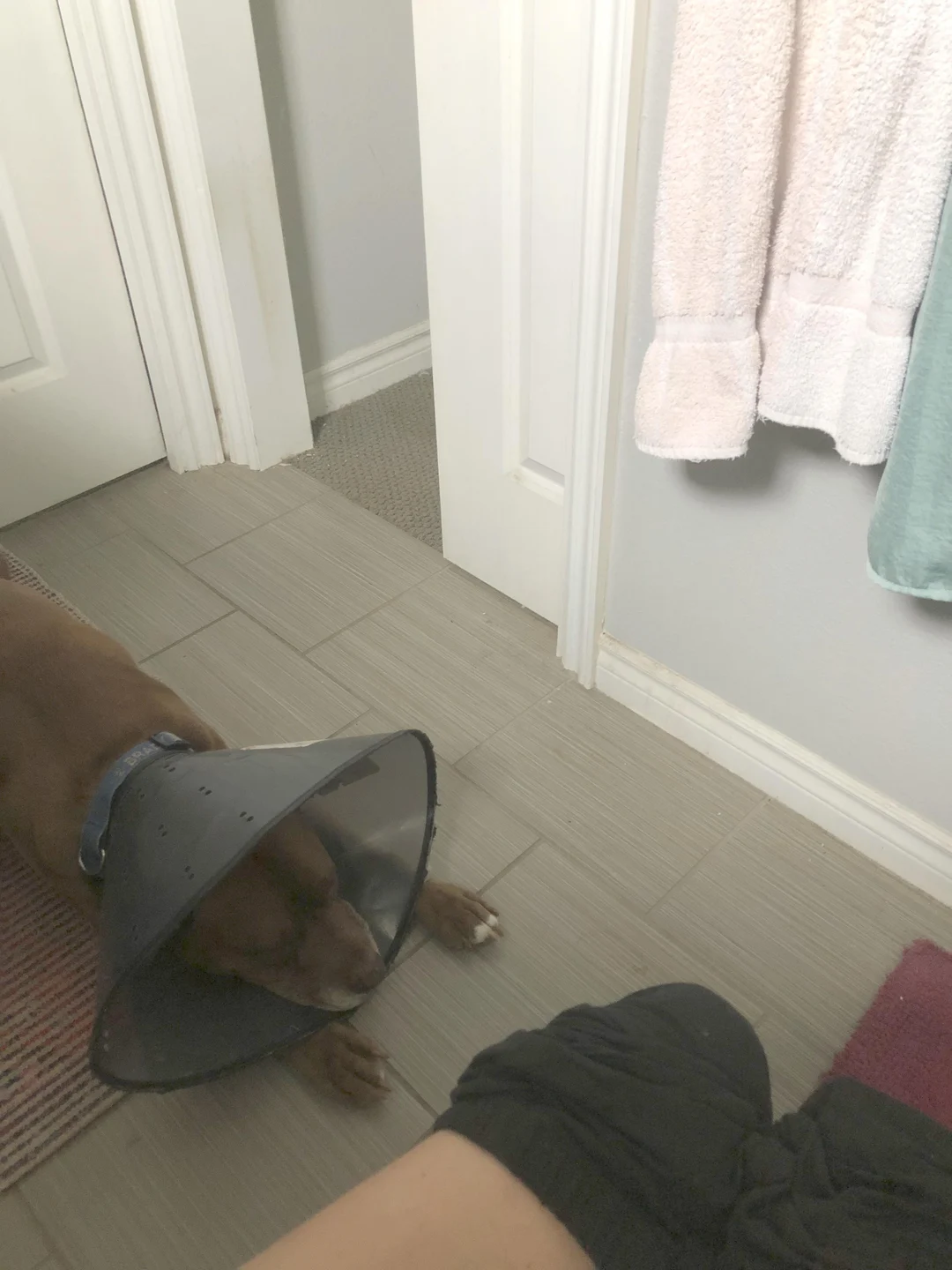 He opened that sliding door and barged in cone-head first. Must be together. All. Times. | Scrolller