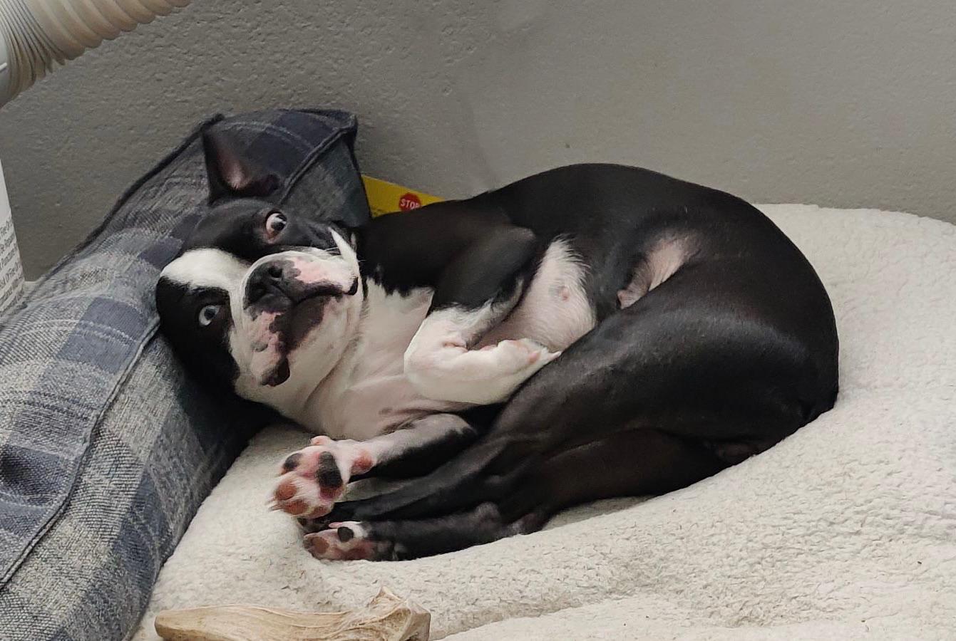 She’s just sleeping | Scrolller