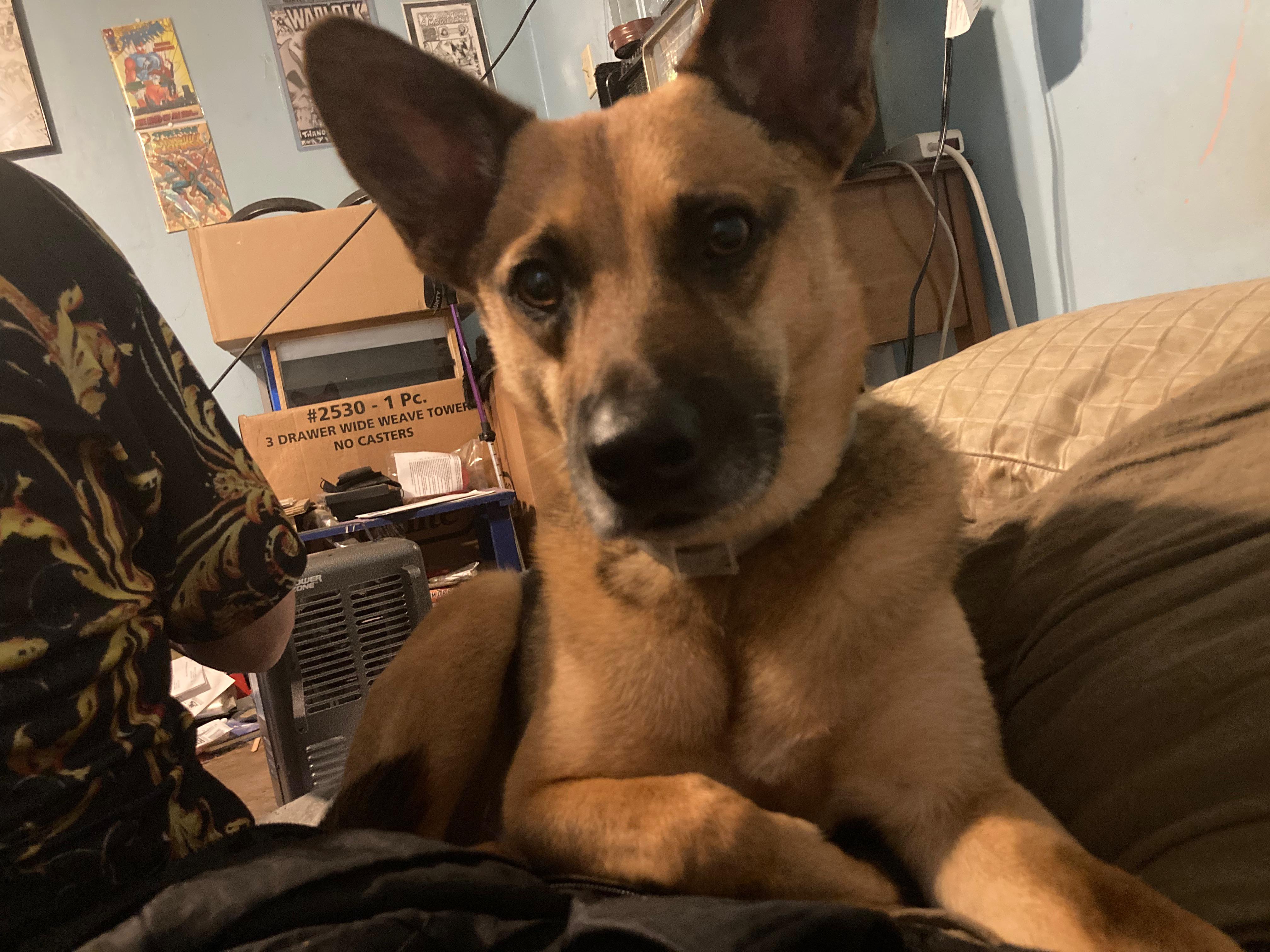 Our world, Tex. | Scrolller