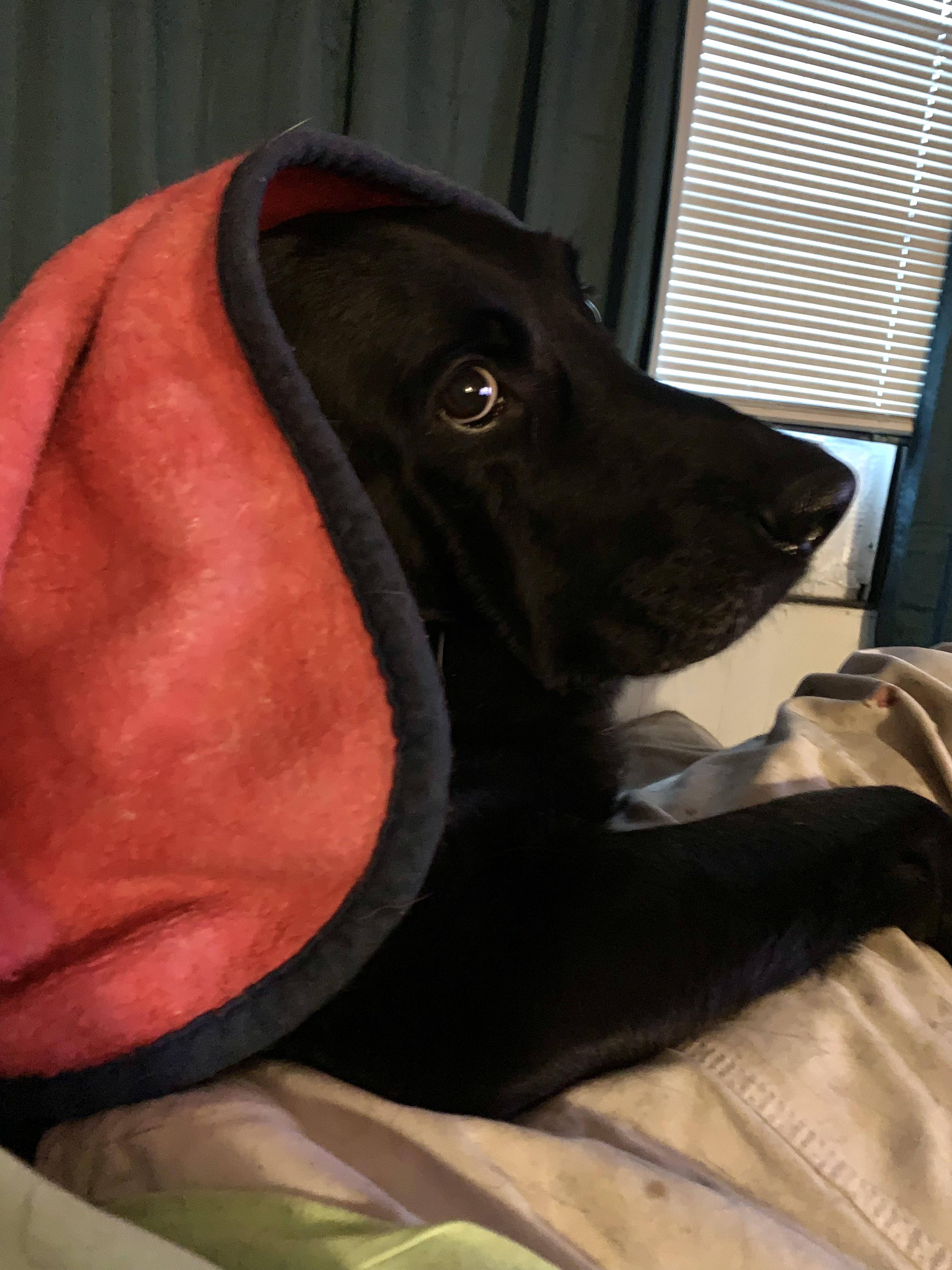 Jake braving the storm | Scrolller