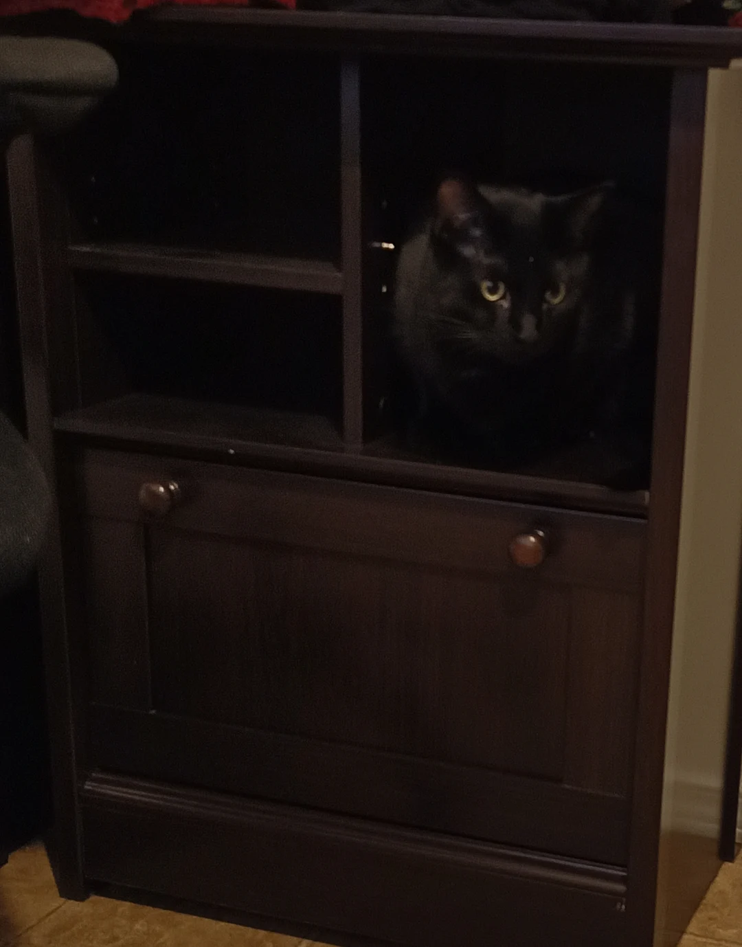 The new fle cabinet is Salem approved. He did insist on us removing a shelf so he could fully ...