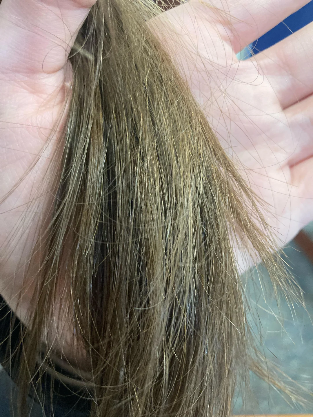 Shampoo and conditioner recs | Scrolller