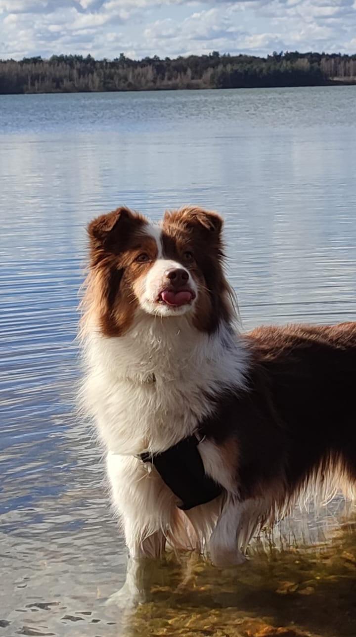 Got a picture of her mega bleb and thought this might be fitting for this sub | Scrolller