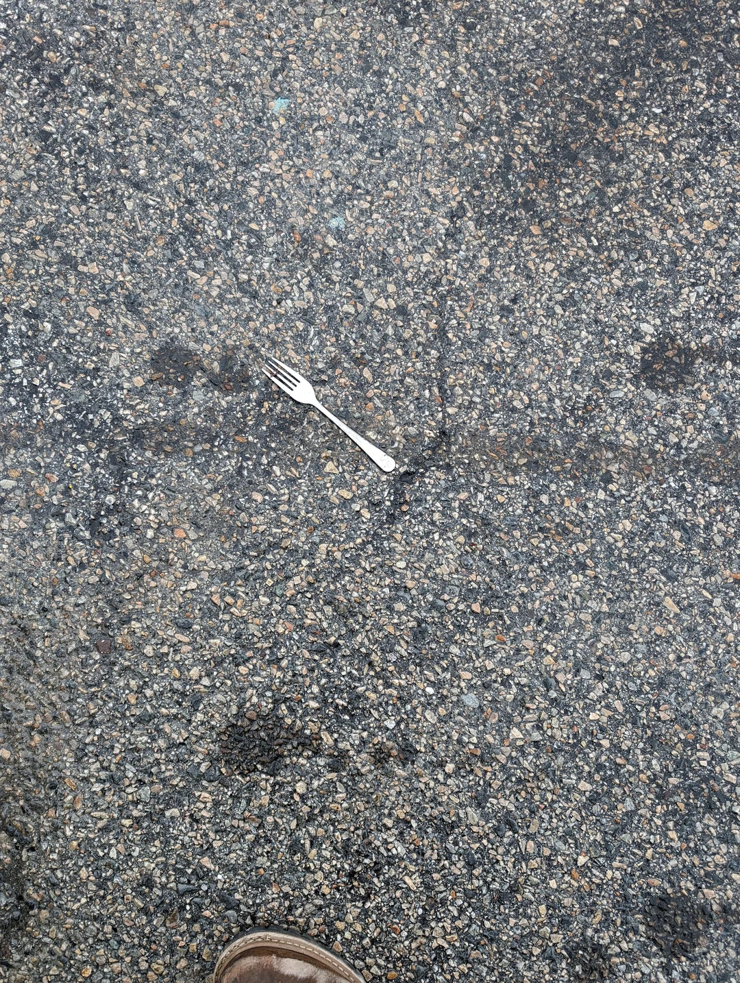 Fork in the road | Scrolller