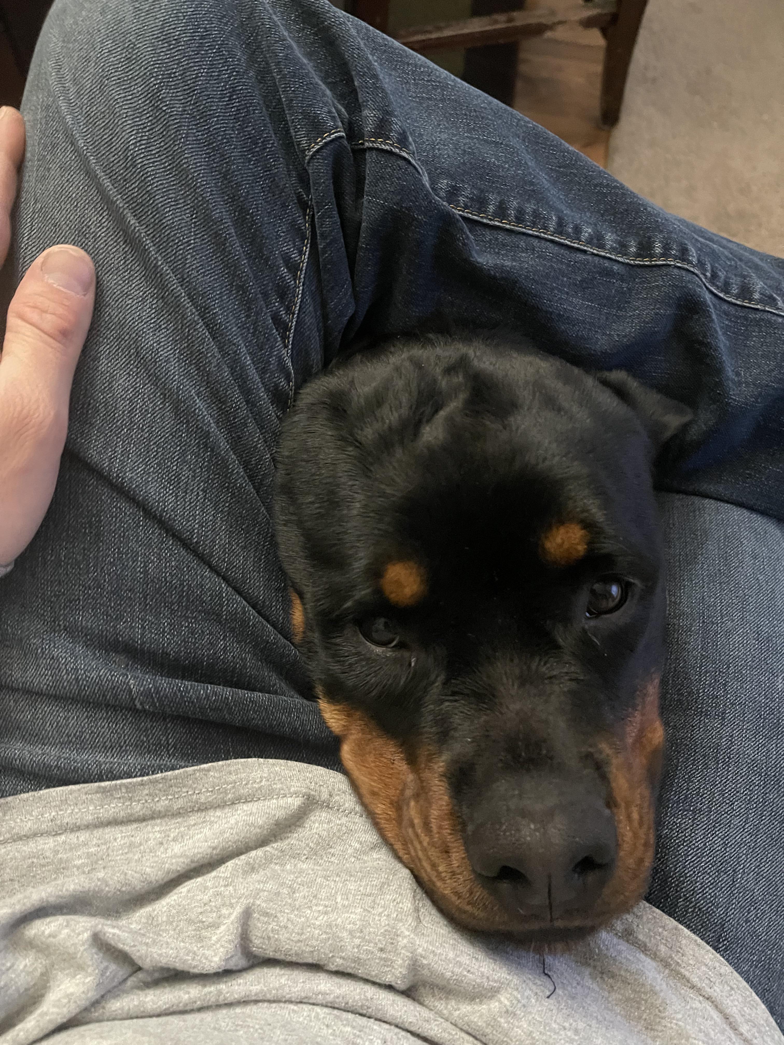 She just popped her head through | Scrolller