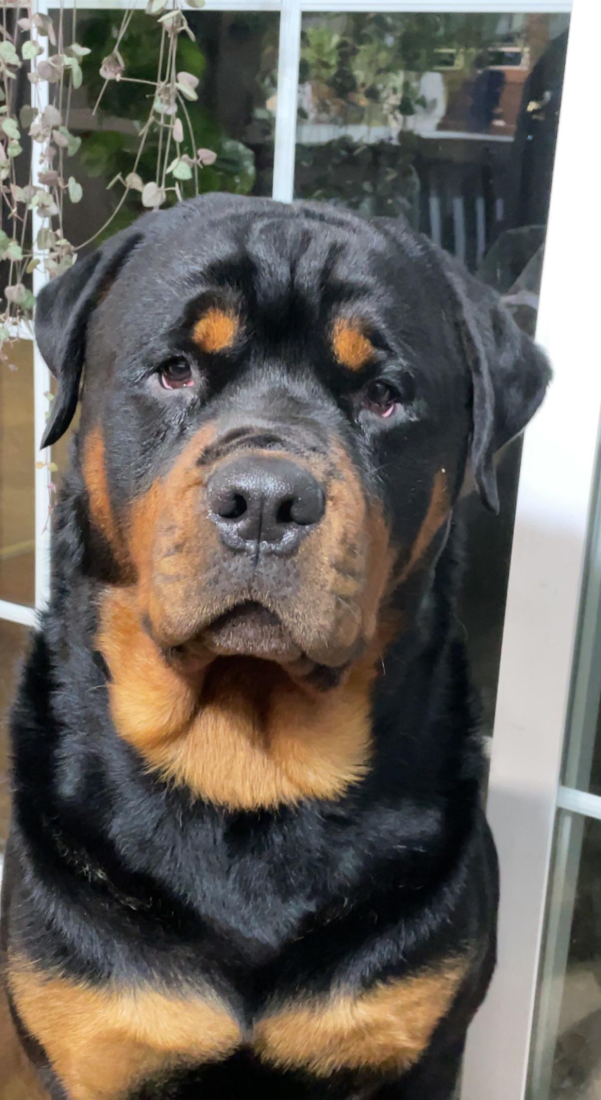 My handsome boy | Scrolller