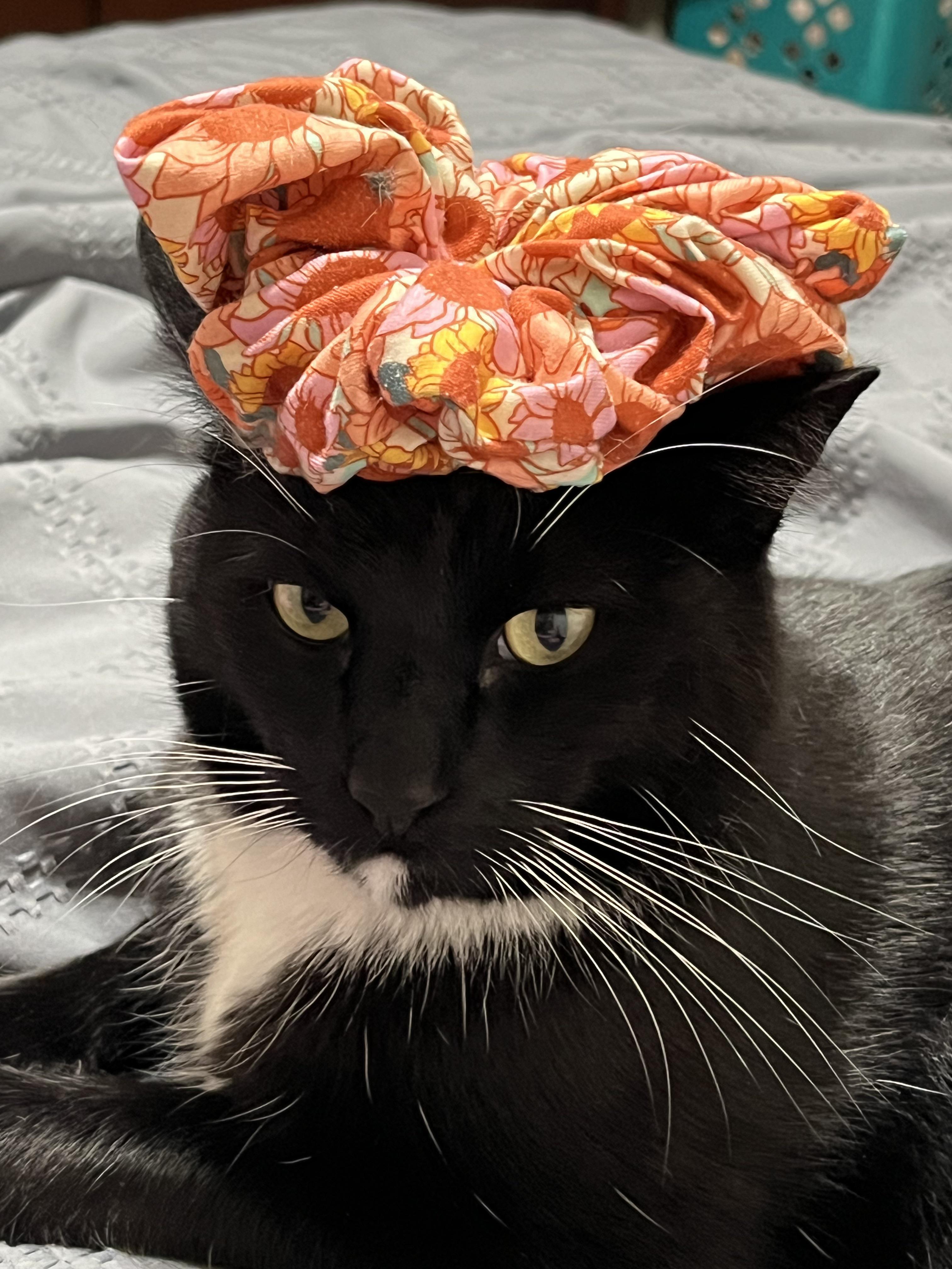 He’s not amused but is very cute | Scrolller