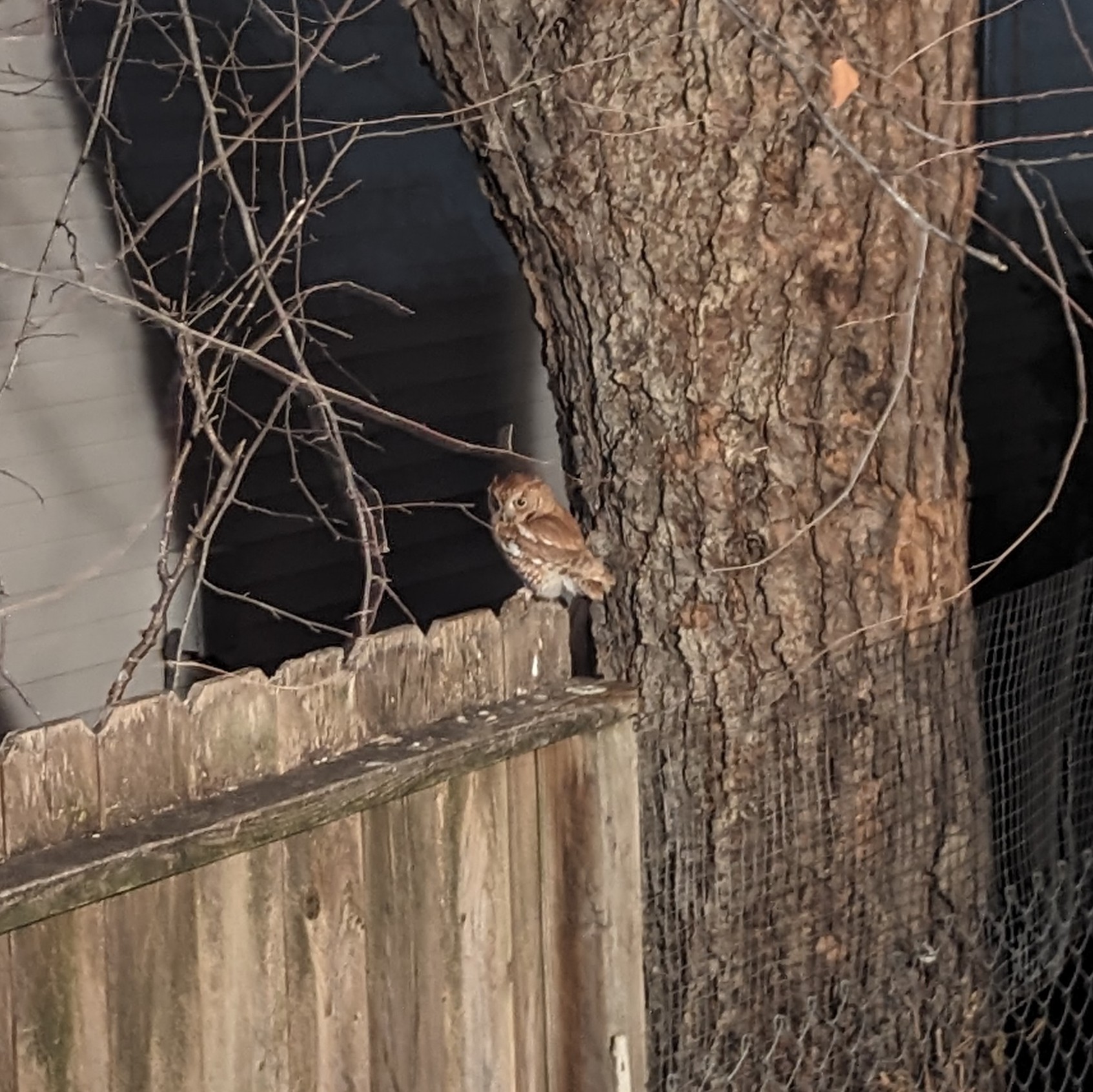 It's so tiny! | Scrolller