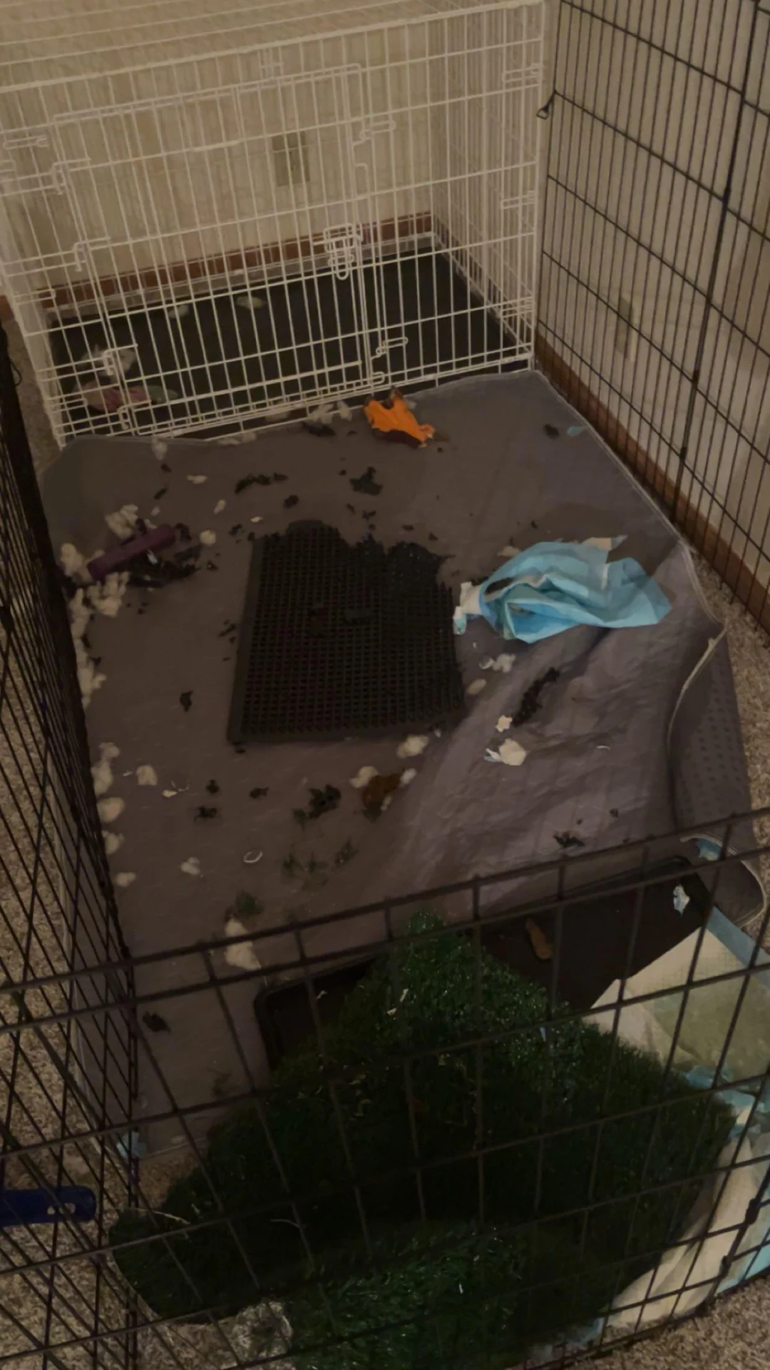 how do i stop this behavior. | Scrolller