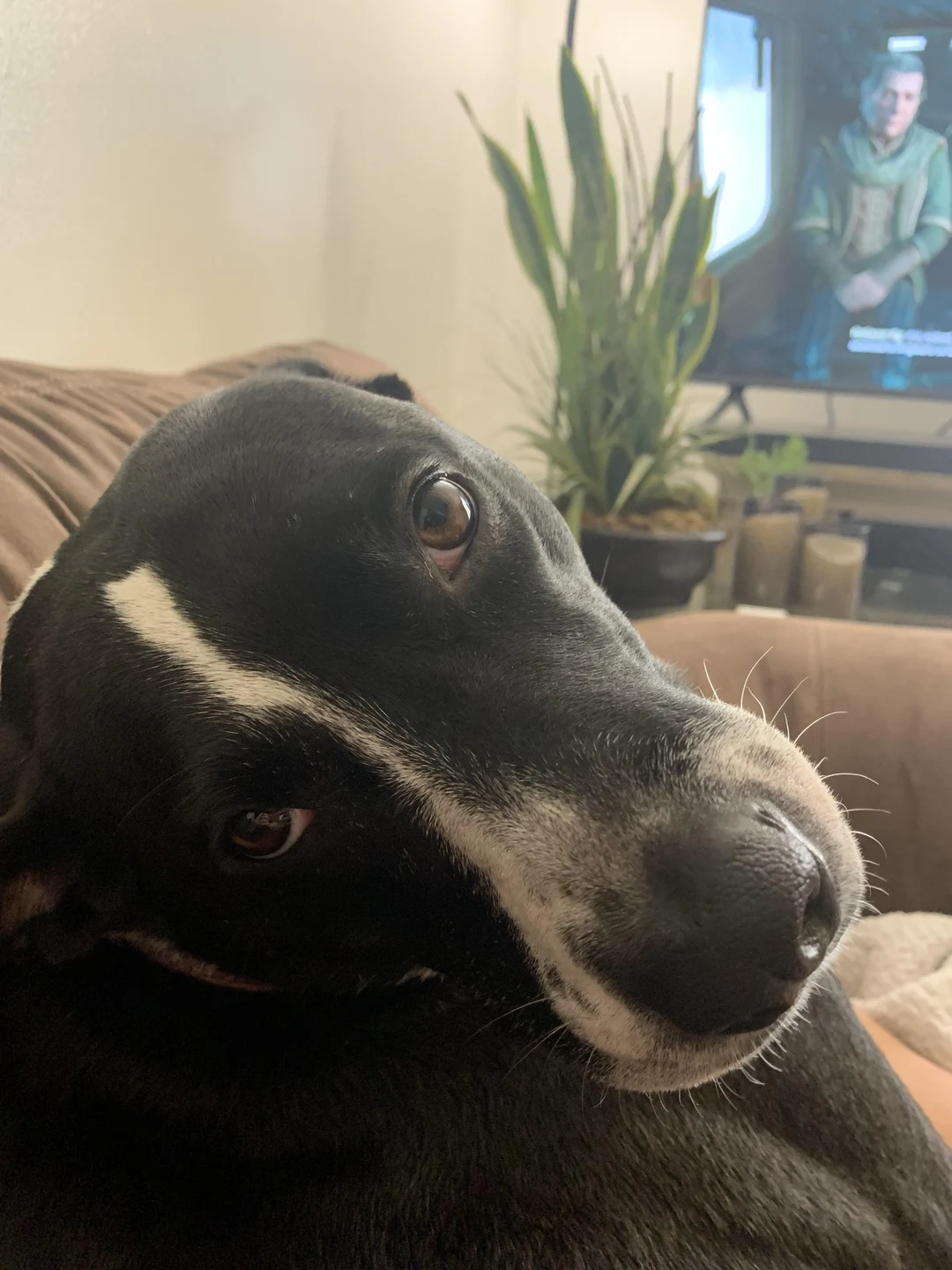 My little creature feature | Scrolller