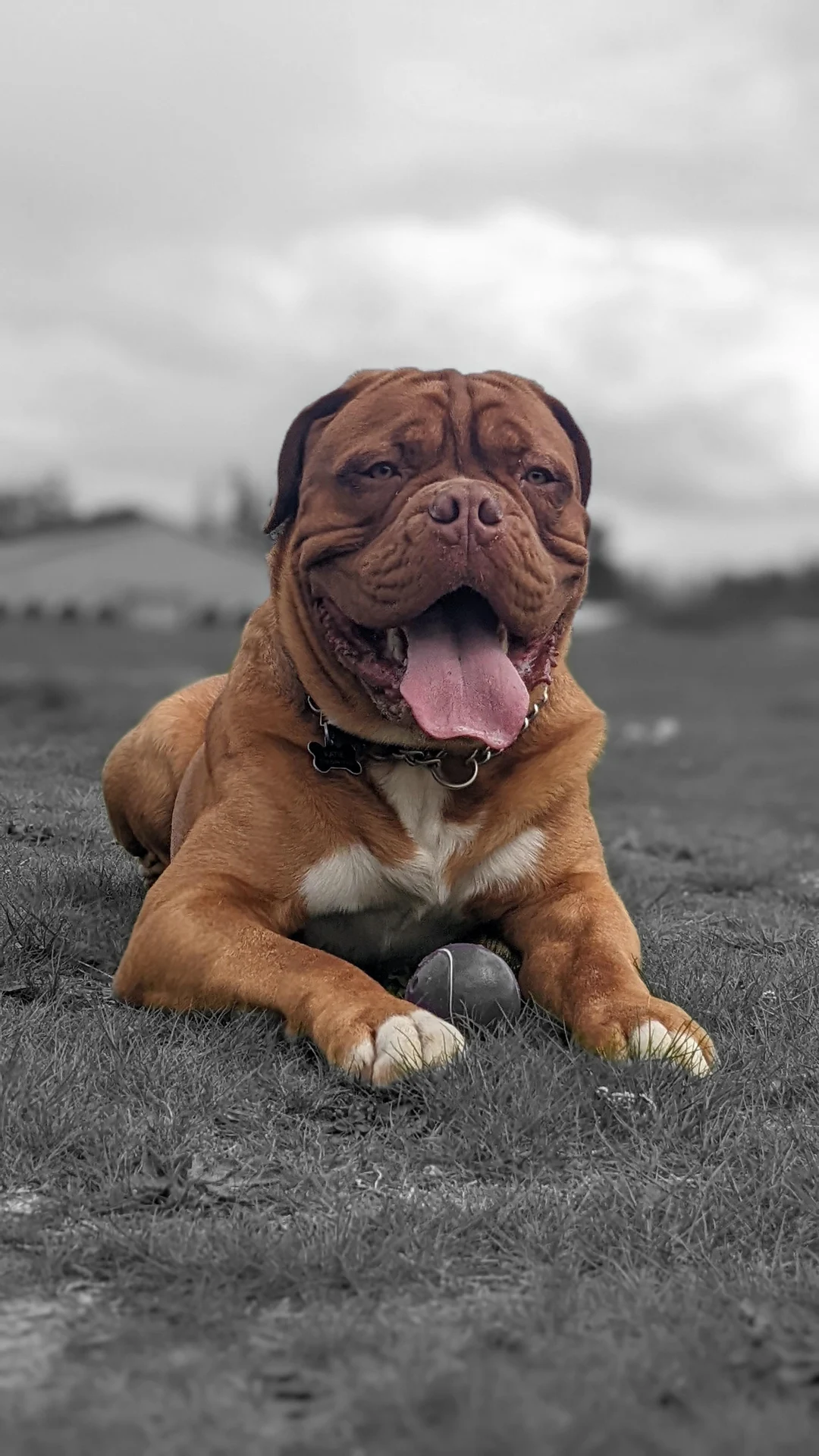 so very, very handsome | Scrolller