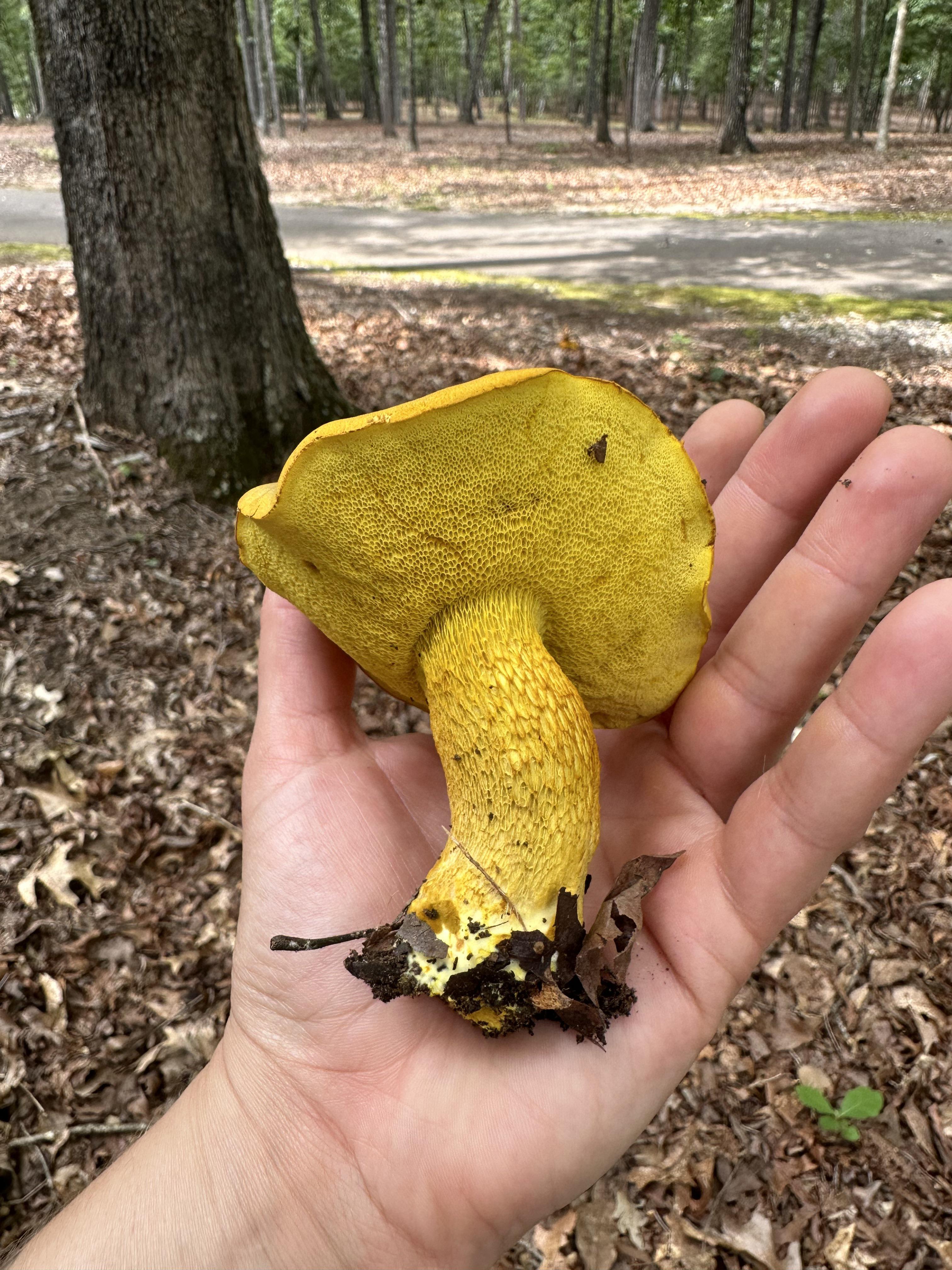 Can someone help identify? | Scrolller