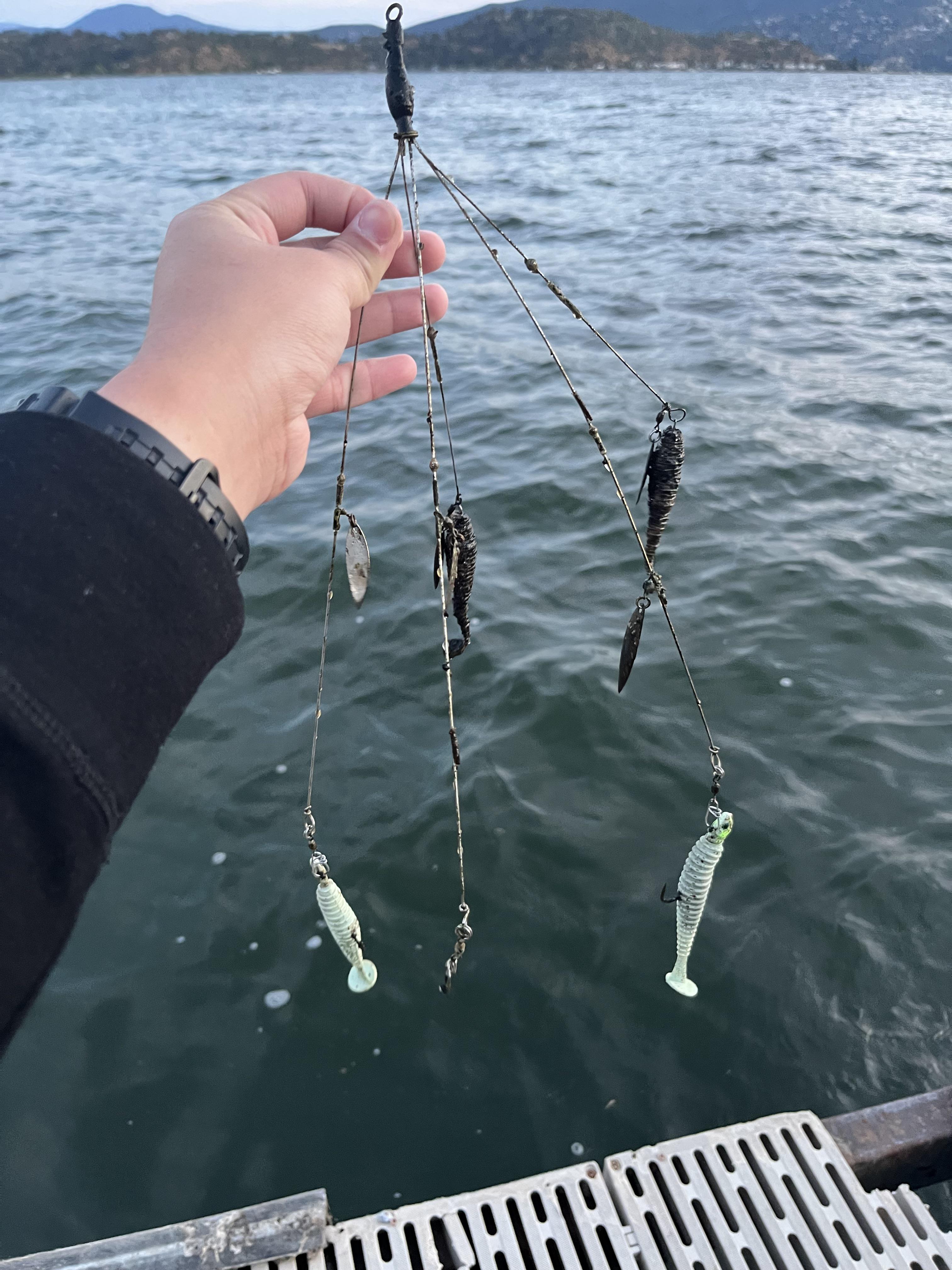 What sea monster did I just catch?!?! | Scrolller