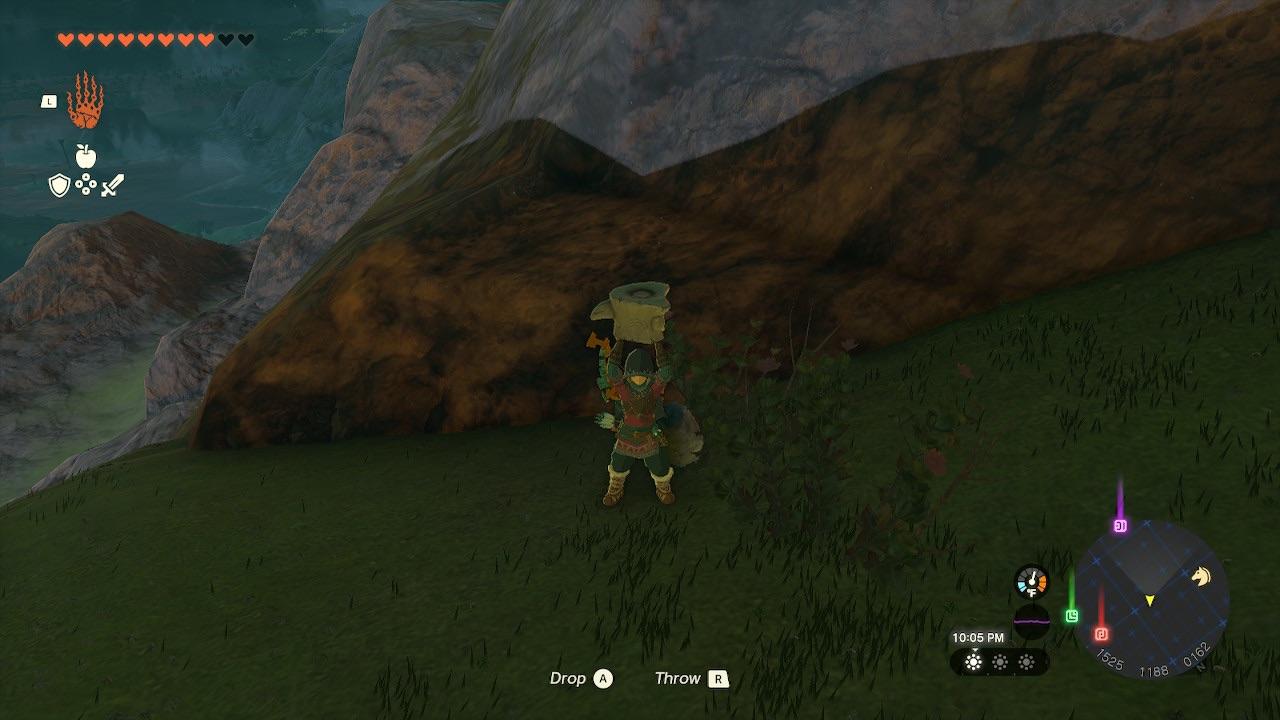 [TotK] Does anyone have any idea what this weird object is? | Scrolller