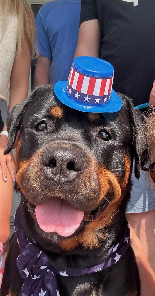 Happy 4th! | Scrolller