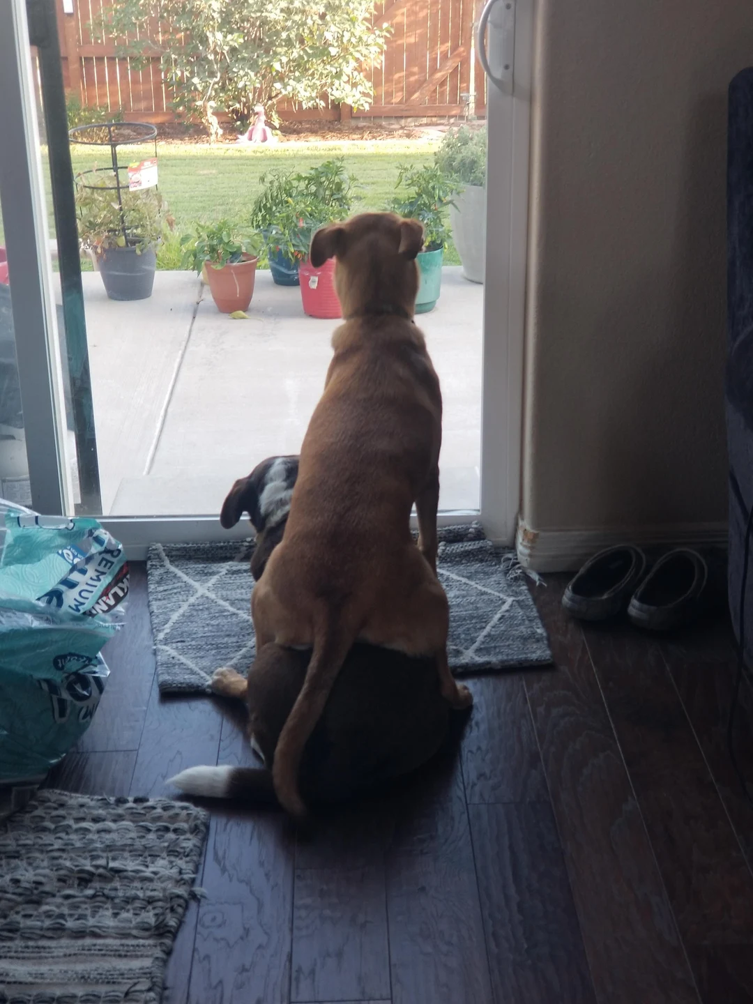 This is her safe space | Scrolller