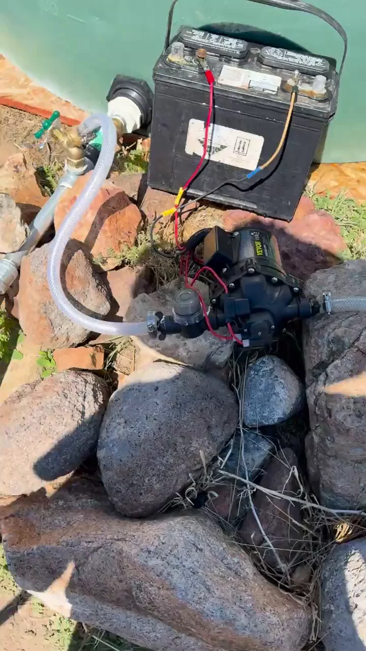 Quick update, including how we’re watering | Scrolller