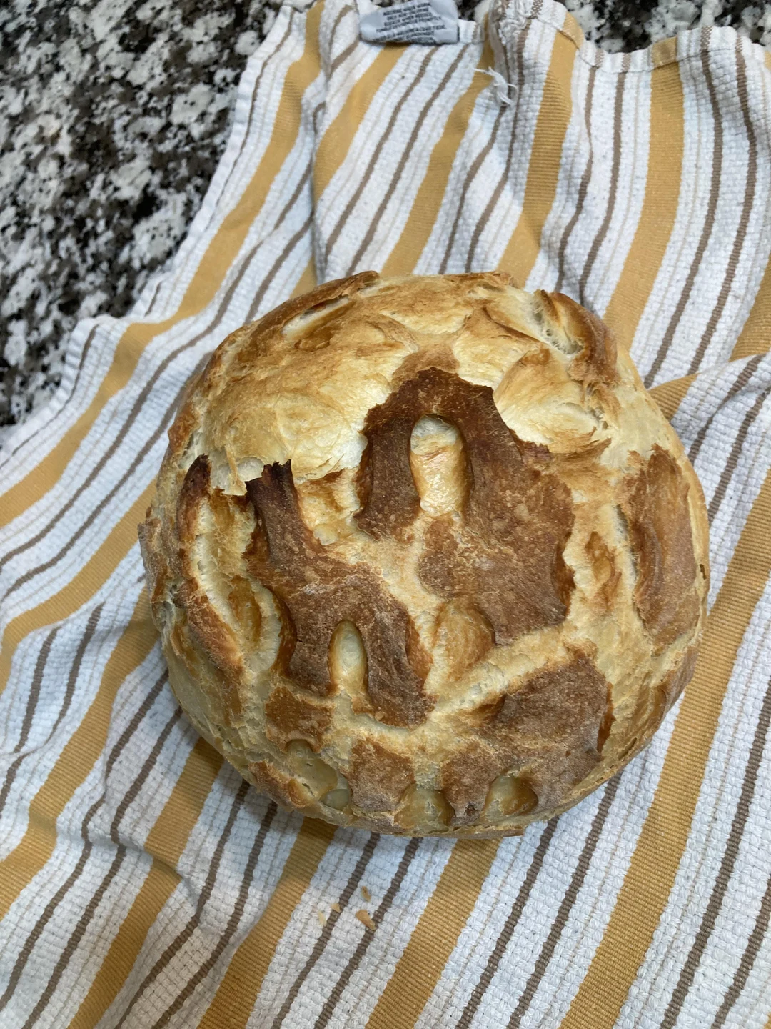Rustic No Knead Dutch Oven Loaf scoring needs improvement. | Scrolller