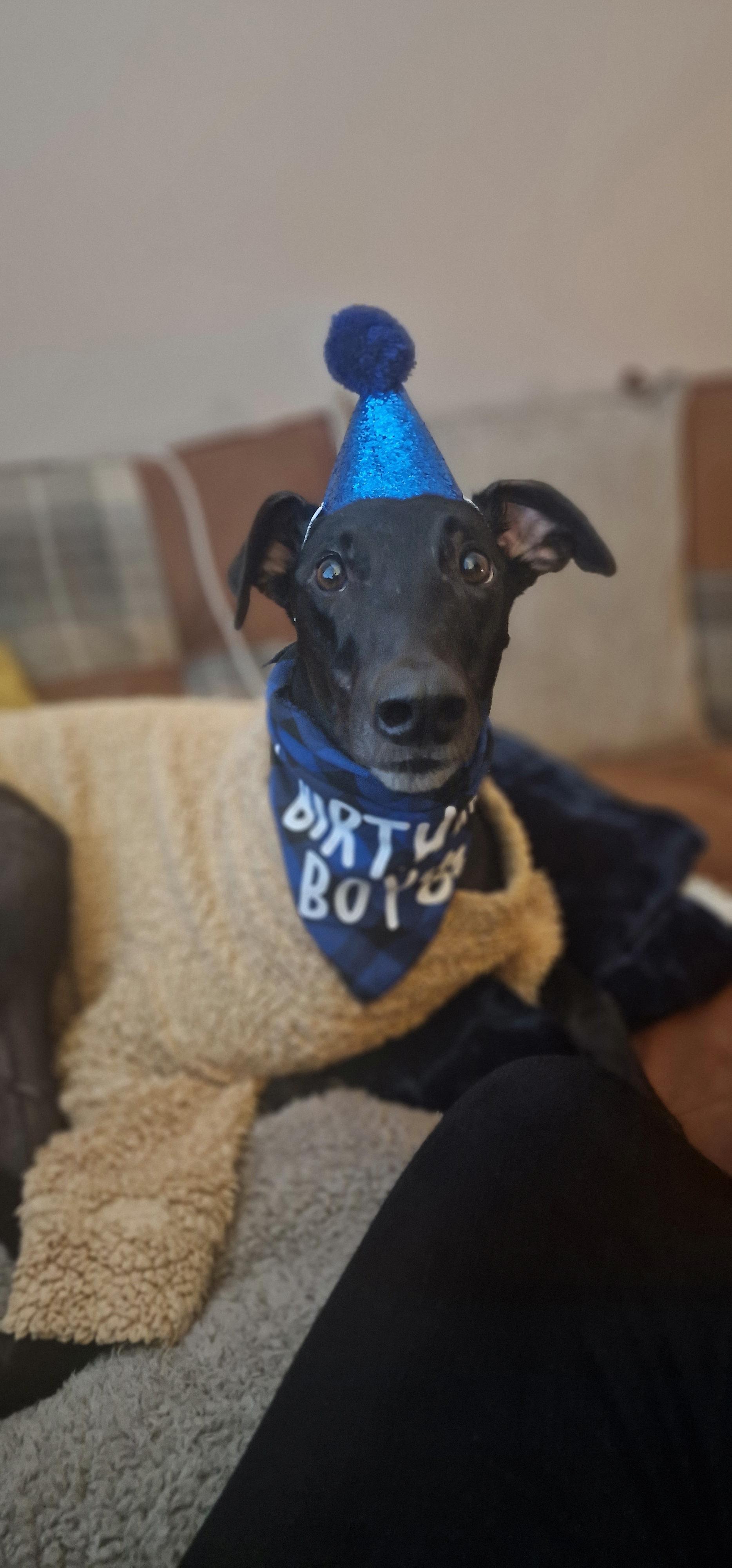 Birthday boy Dave | Scrolller