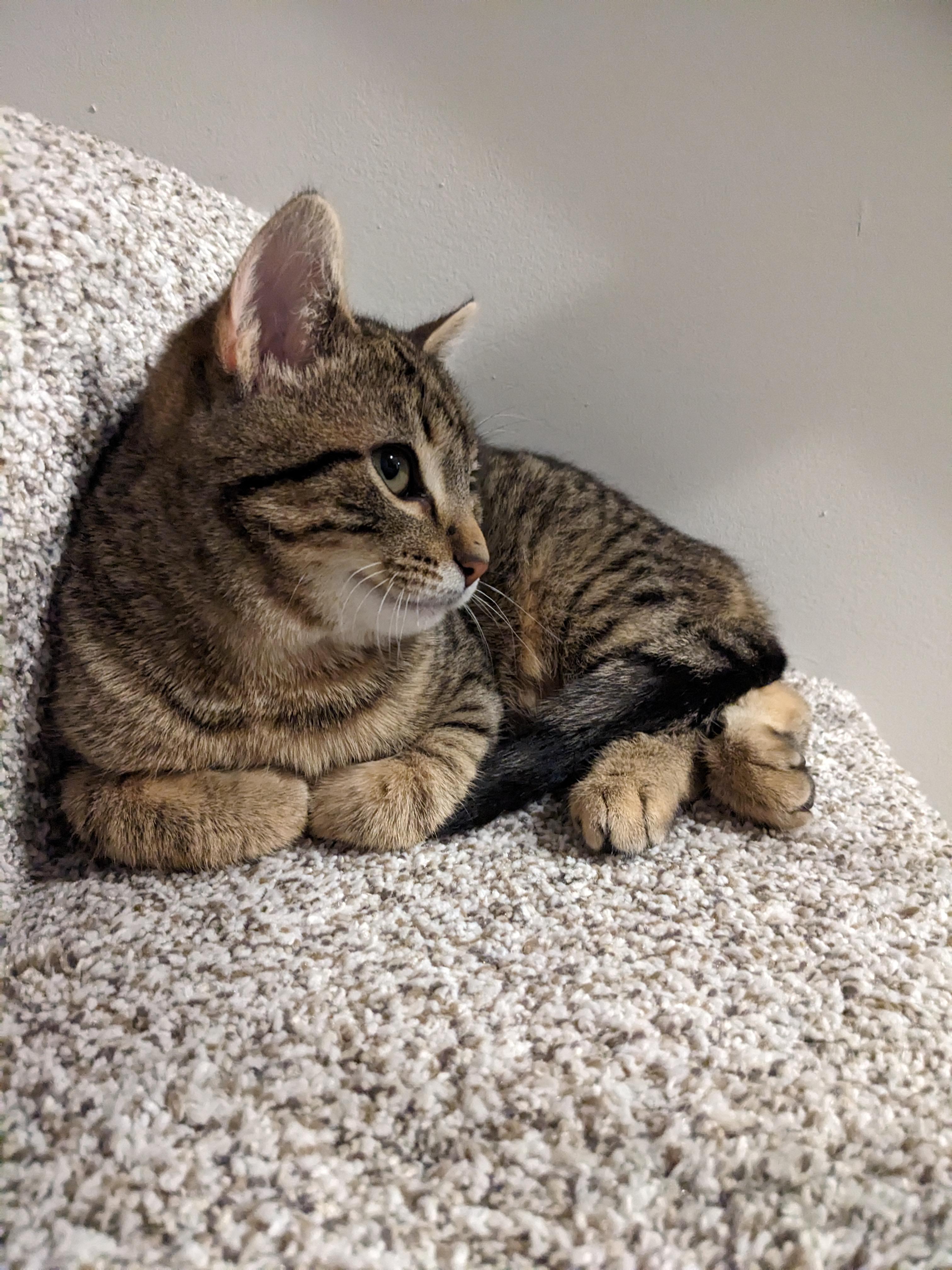 Beautiful Bean | Scrolller