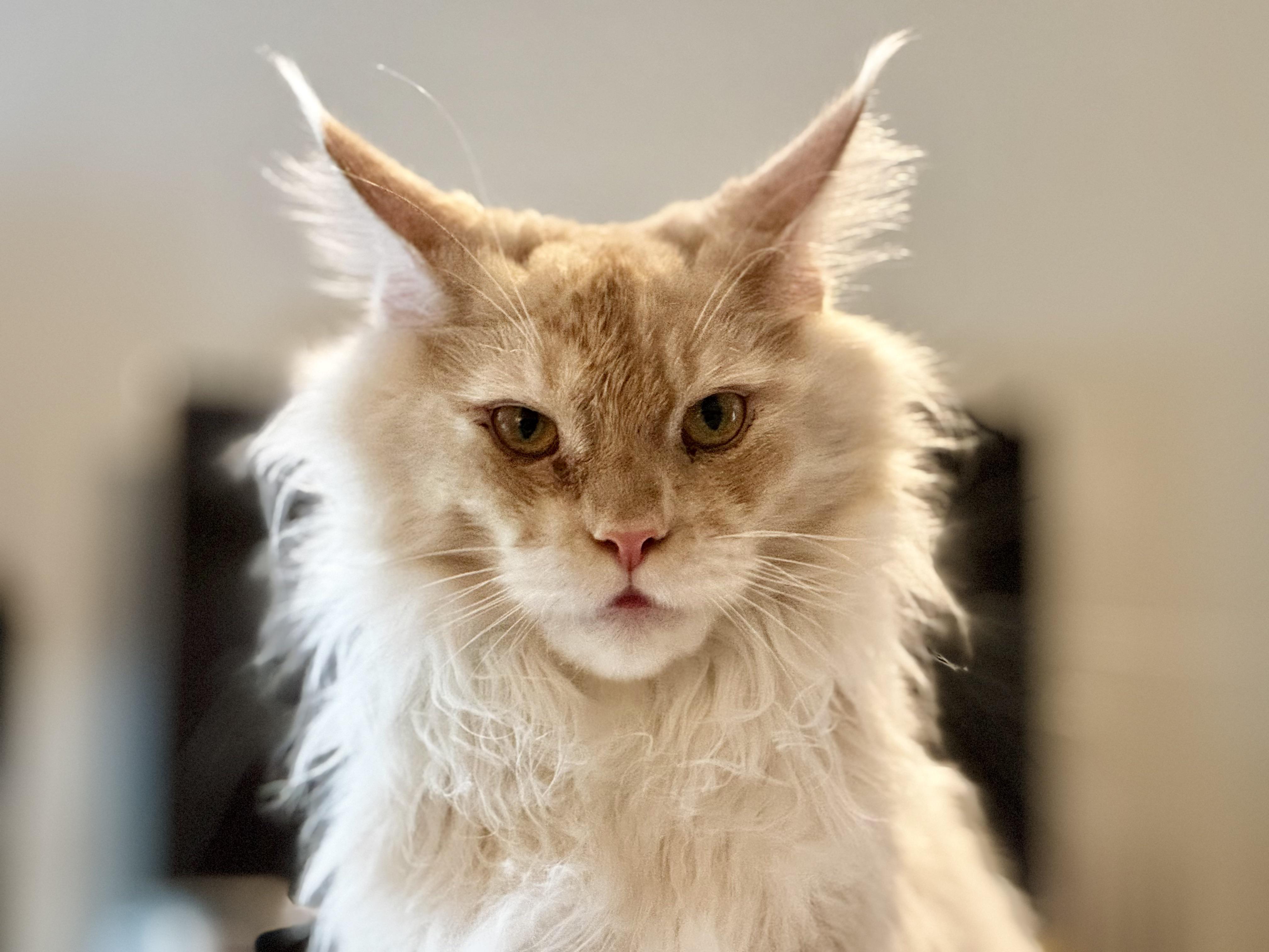 Post your best RBF faces | Scrolller