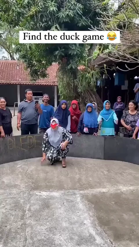 What the duck? | Scrolller