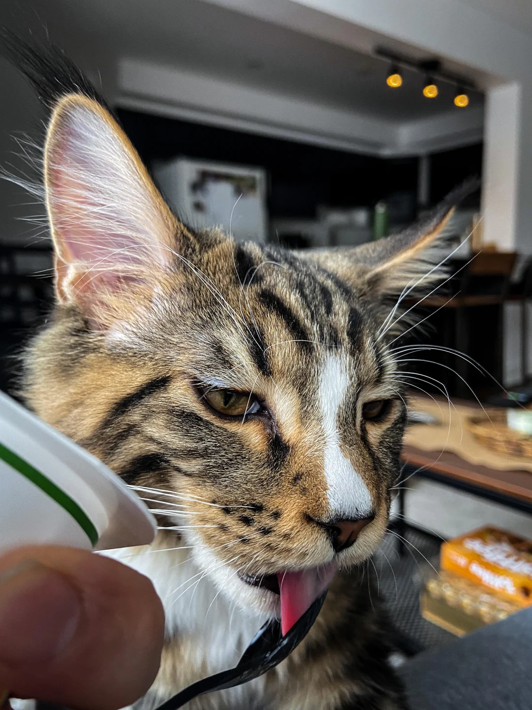 Love this little derp 🤪 | Scrolller