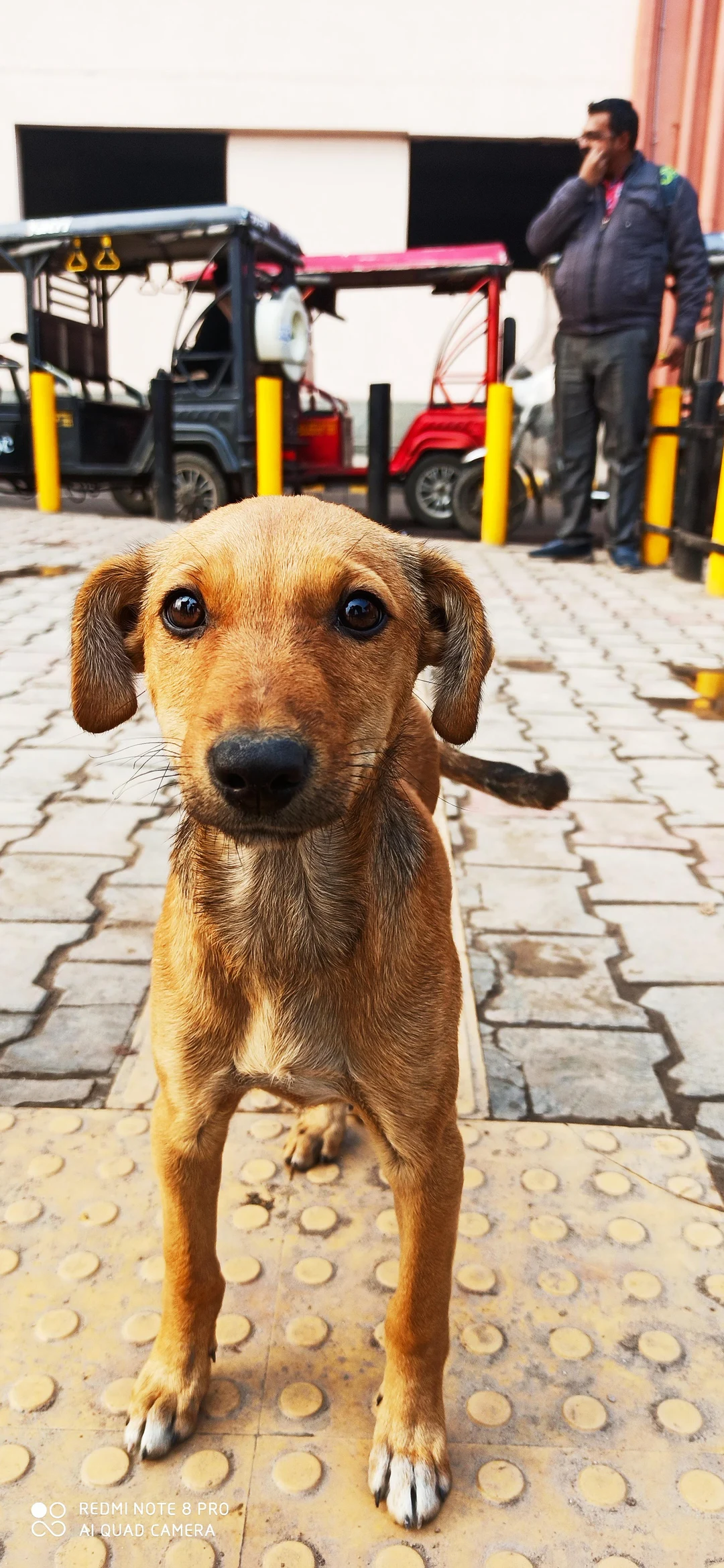 Here is my submission for best picture | Scrolller