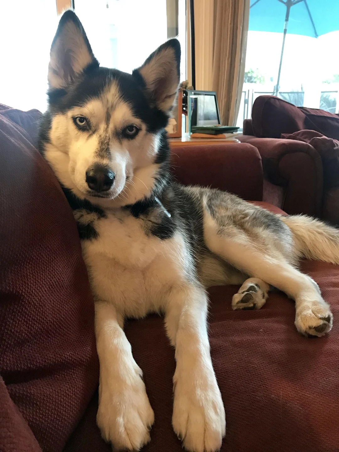 So much sass in one picture | Scrolller